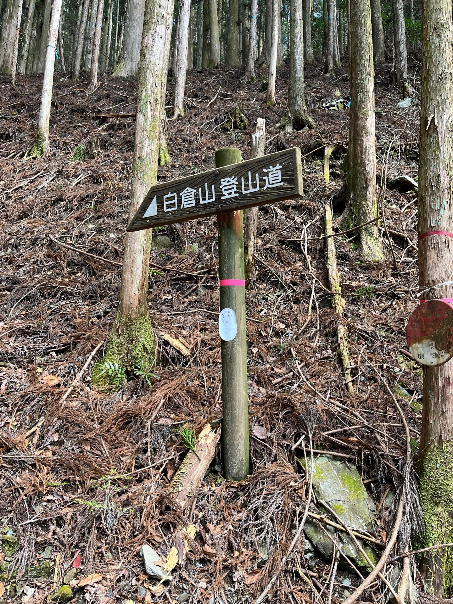 白倉山 / AKOさんの白倉山の活動データ | YAMAP / ヤマップ