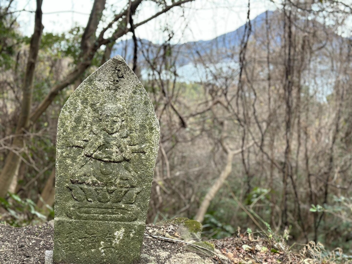 経ヶ森辺りを一回り / yutakageさんの経ヶ森の活動データ | YAMAP / ヤマップ