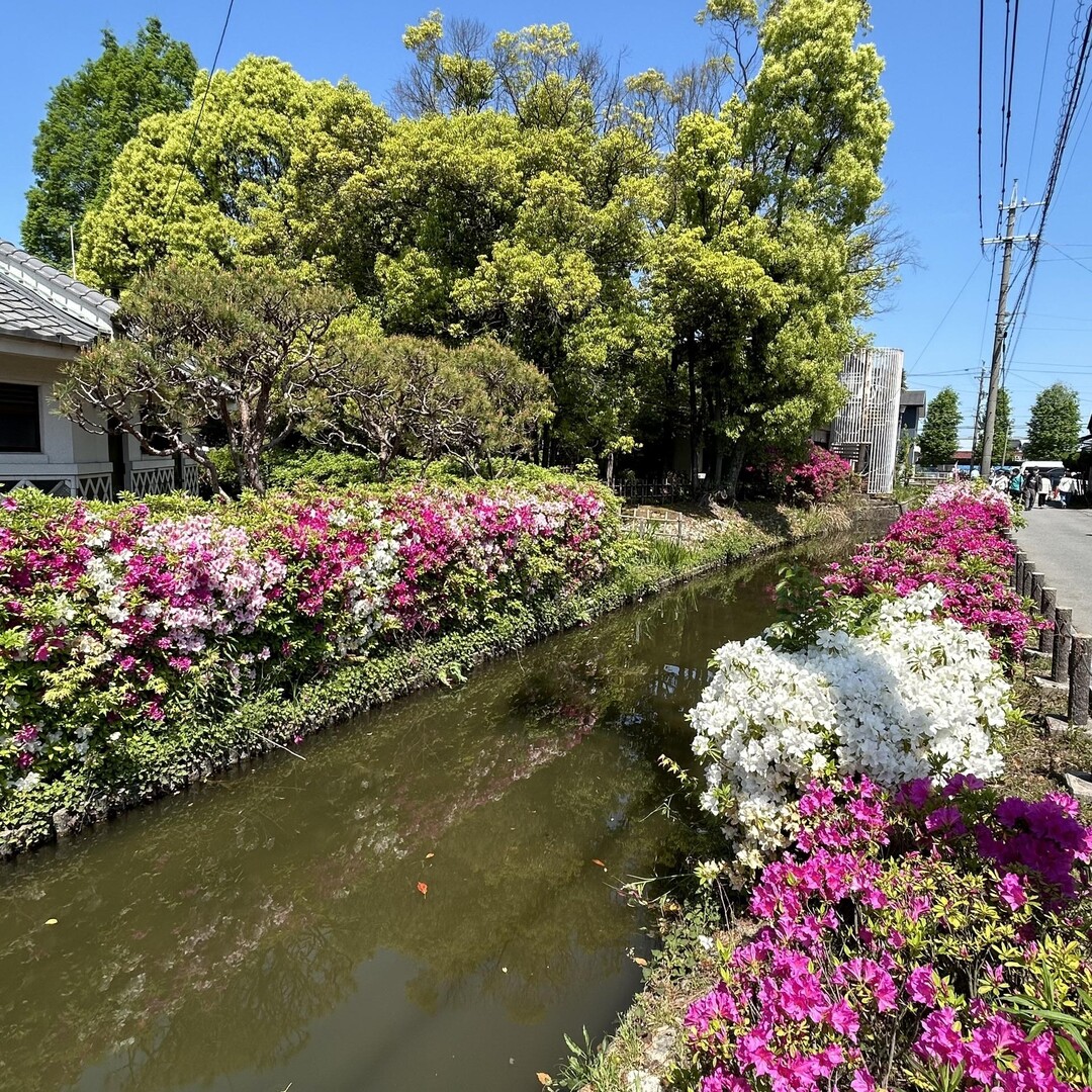 さわやかウォーキング 尾張一宮駅 / T_K_D_さんのウォーキングの活動日記 | YAMAP / ヤマップ
