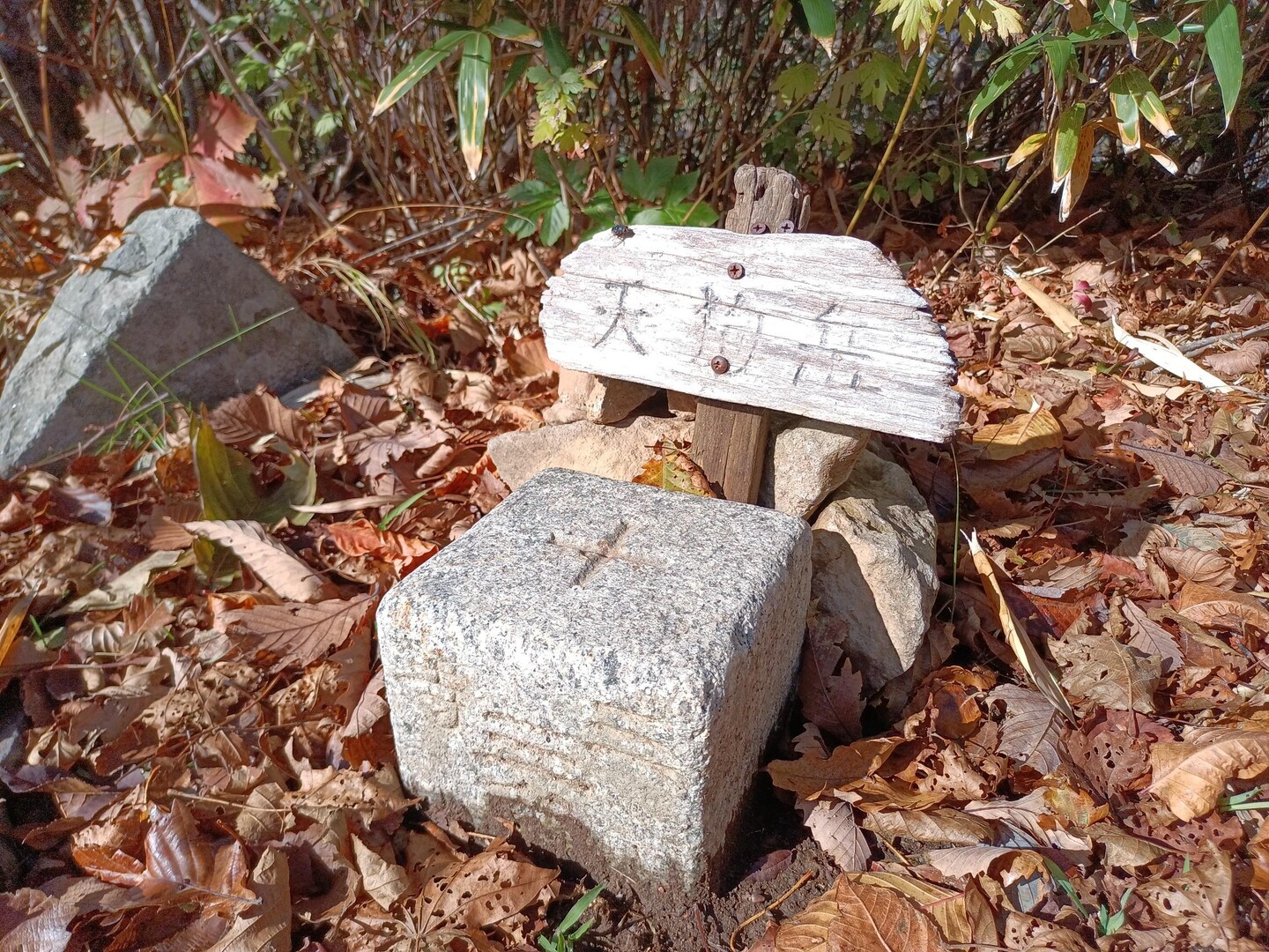 銭函天狗山 / KASHIWAさんの手稲山・奥手稲山の活動データ | YAMAP / ヤマップ