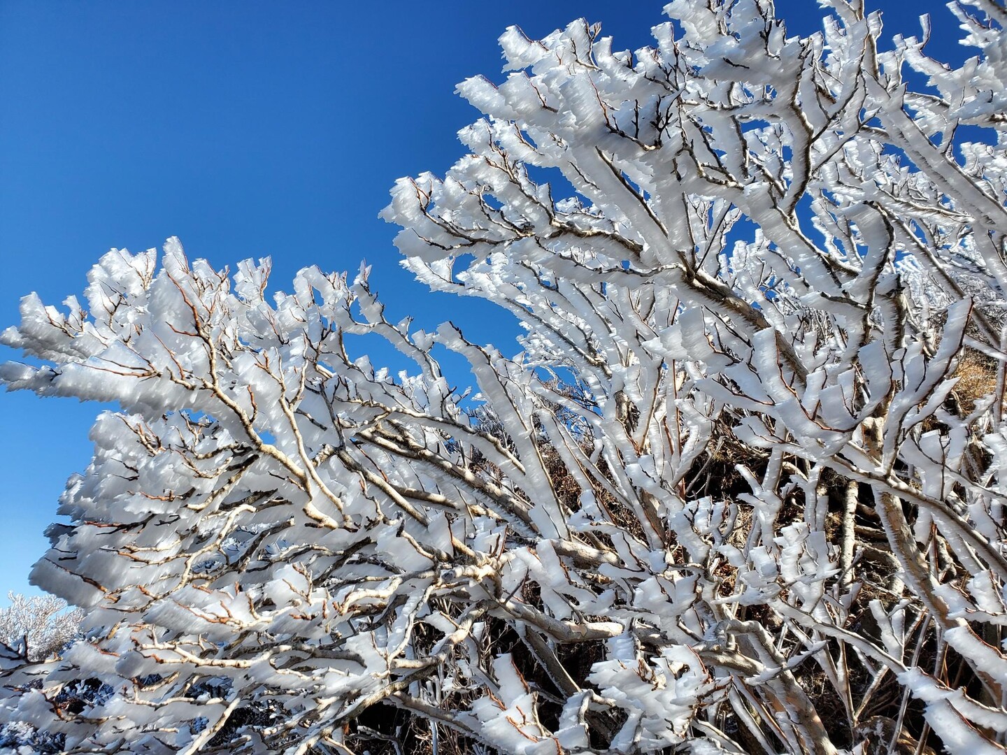 韓国岳・獅子戸岳 / gg505さんの霧島山・韓国岳・高千穂峰・夷守岳・烏帽子岳の活動データ | YAMAP / ヤマップ