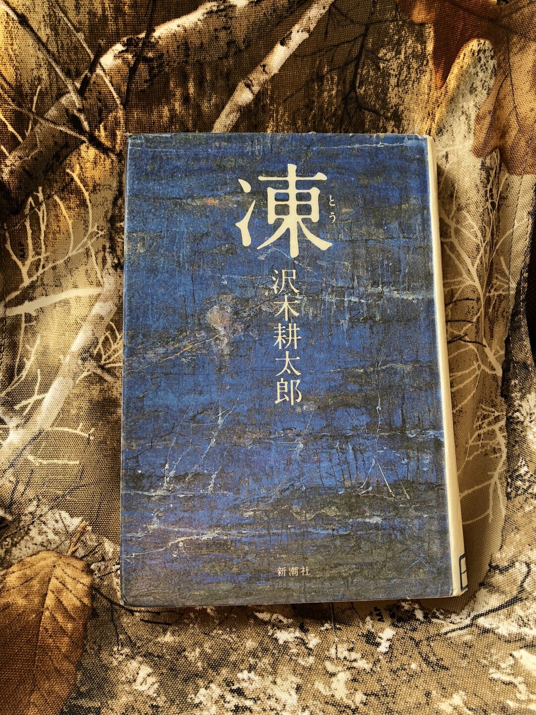 2022.01.22(土) 04:31 / ぐっちさんのモーメント | YAMAP / ヤマップ