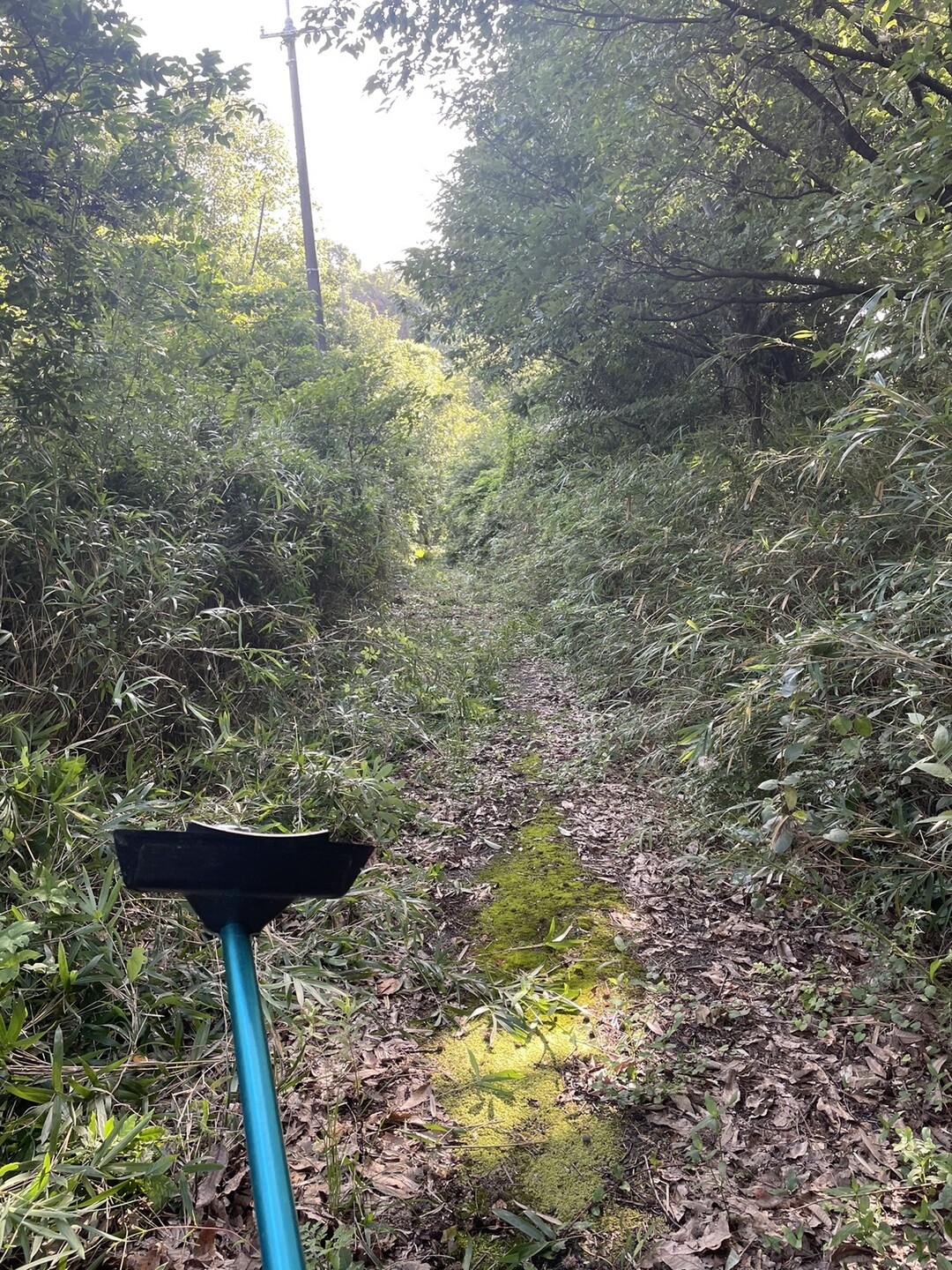 久しぶりに吉備中山。 色々あったのでなか... / tec （taka）さんのモーメント | YAMAP / ヤマップ