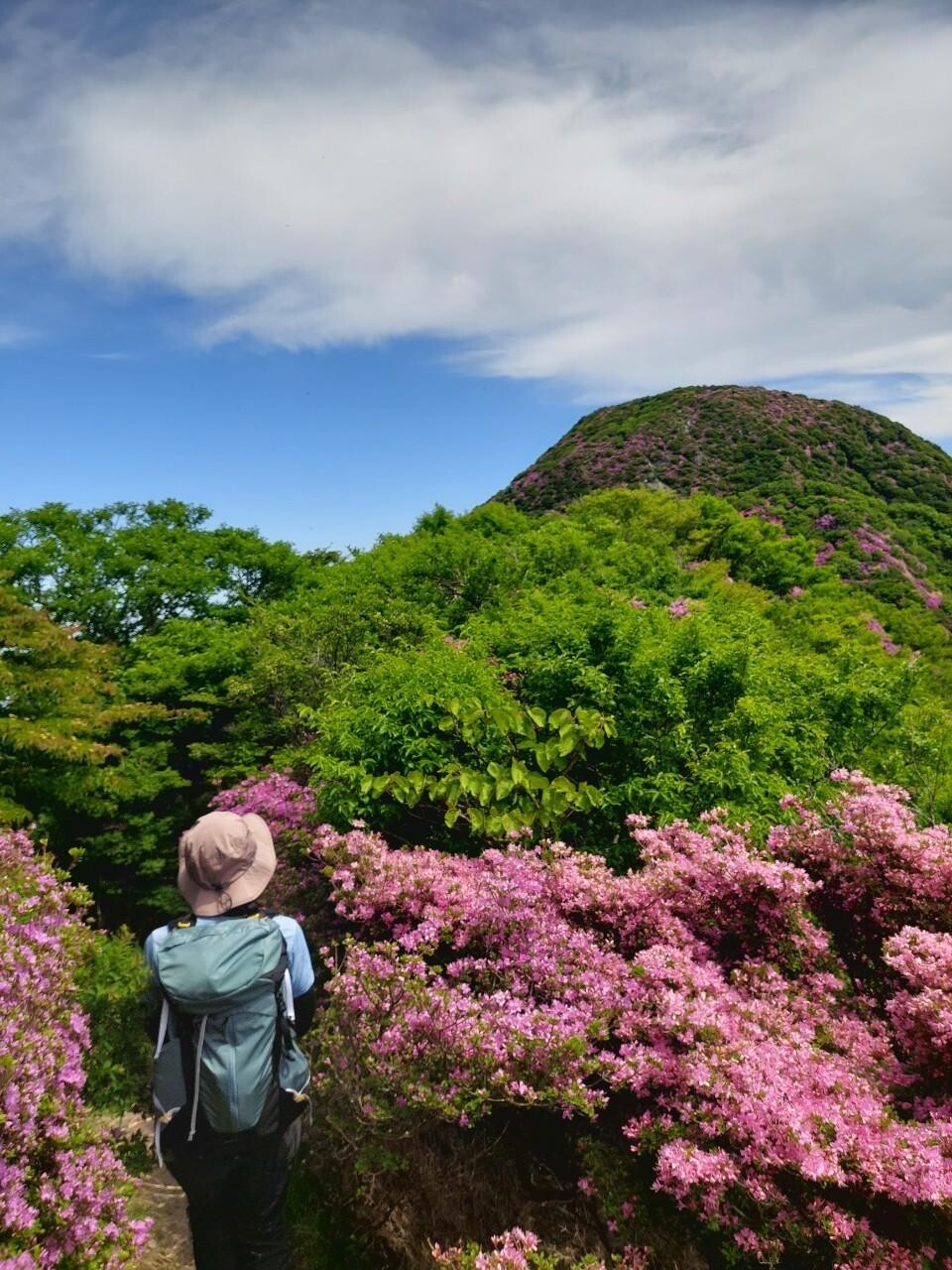 霧氷沢のヒカゲツツジに振られても満開のミヤマキリシマに慰められ / miho.sさんの雲仙岳・普賢岳・絹笠山の活動データ | YAMAP / ヤマップ