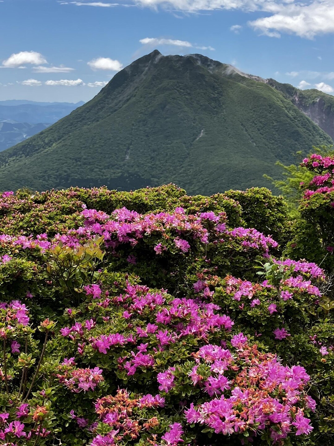 鶴見岳 / kakkyさんの由布岳・鶴見岳の活動データ | YAMAP / ヤマップ