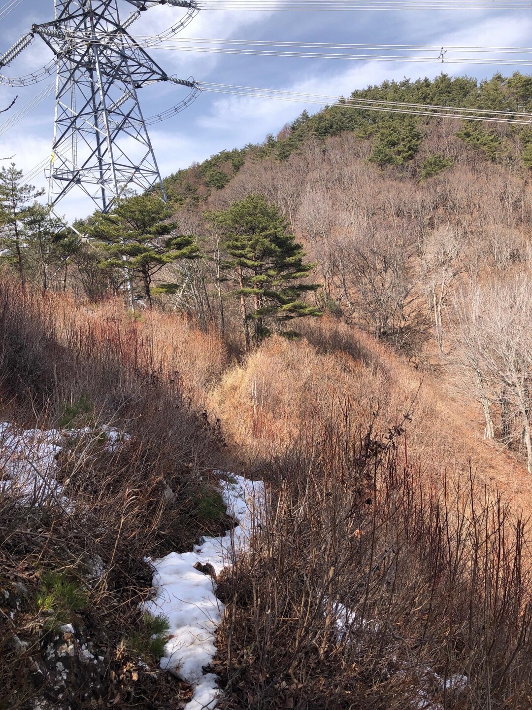 SamuSamuさんの投稿したフィールドメモ | YAMAP / ヤマップ