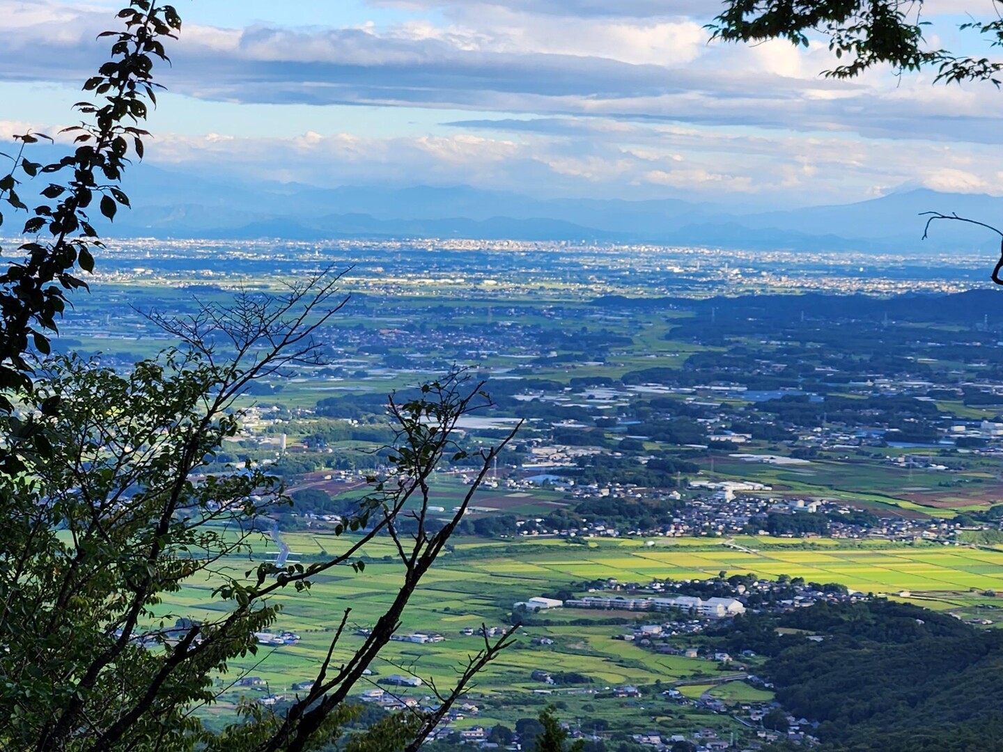 2024/8/17 朝活 筑波山 / papeさんの筑波山の活動データ | YAMAP / ヤマップ