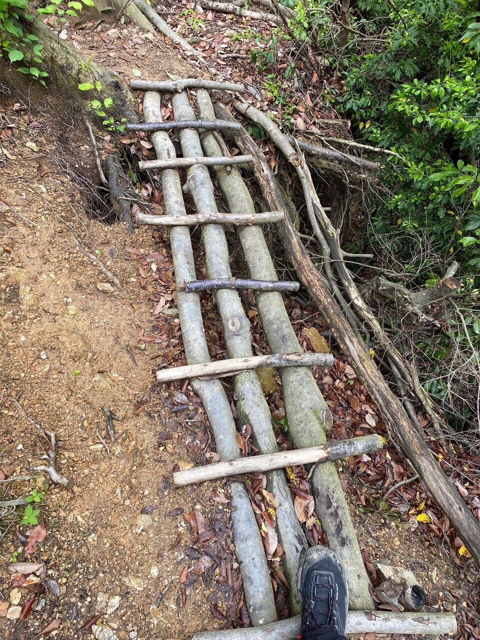 YA-🦥さんの投稿したフィールドメモ | YAMAP / ヤマップ