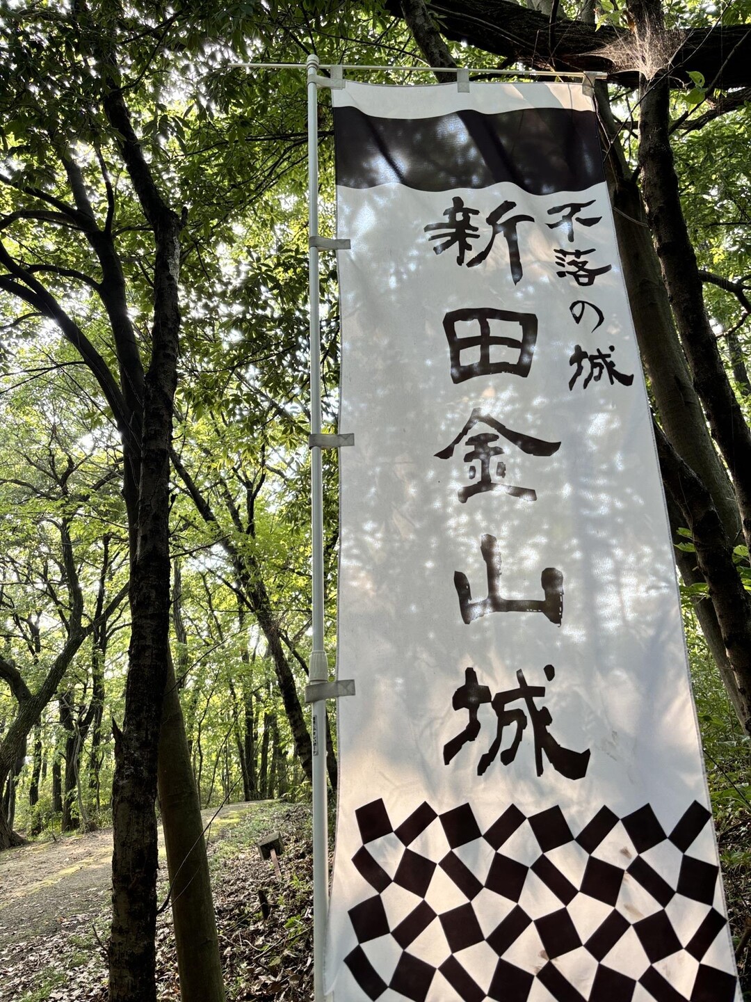 100名城・群馬県 金山城 立派な石垣... / ykn37さんのモーメント | YAMAP / ヤマップ