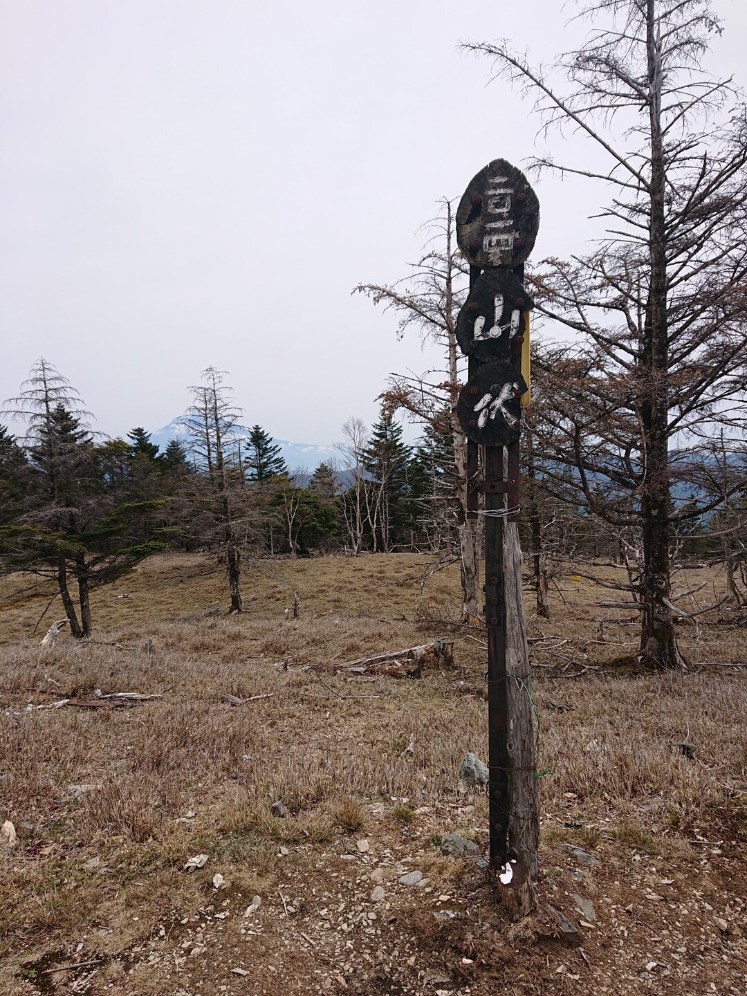 2022年5月 山伏@静岡 富士山が綺麗... / so-sukeさんのモーメント | YAMAP / ヤマップ