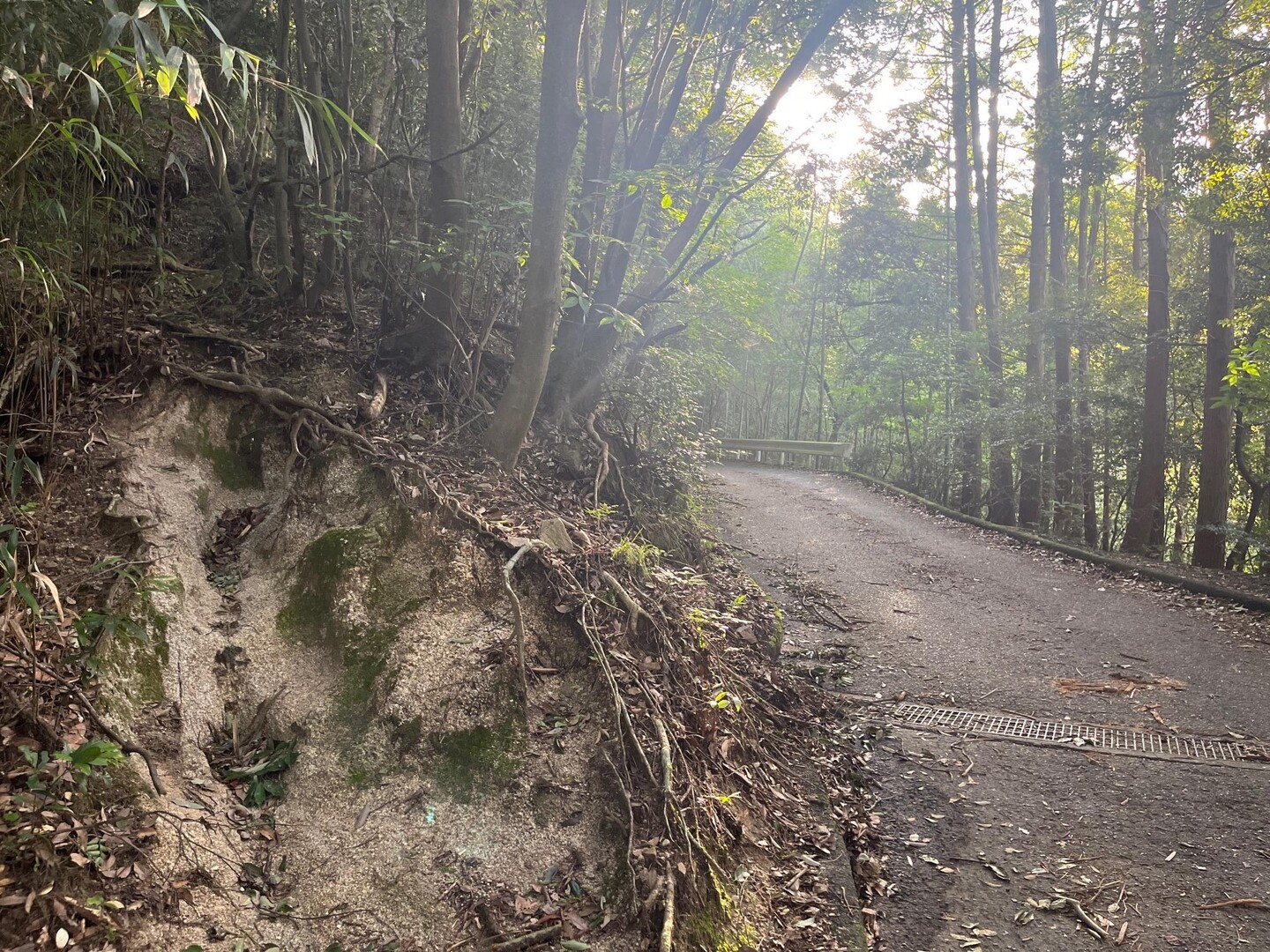 nekodakeさんの投稿したフィールドメモ | YAMAP / ヤマップ
