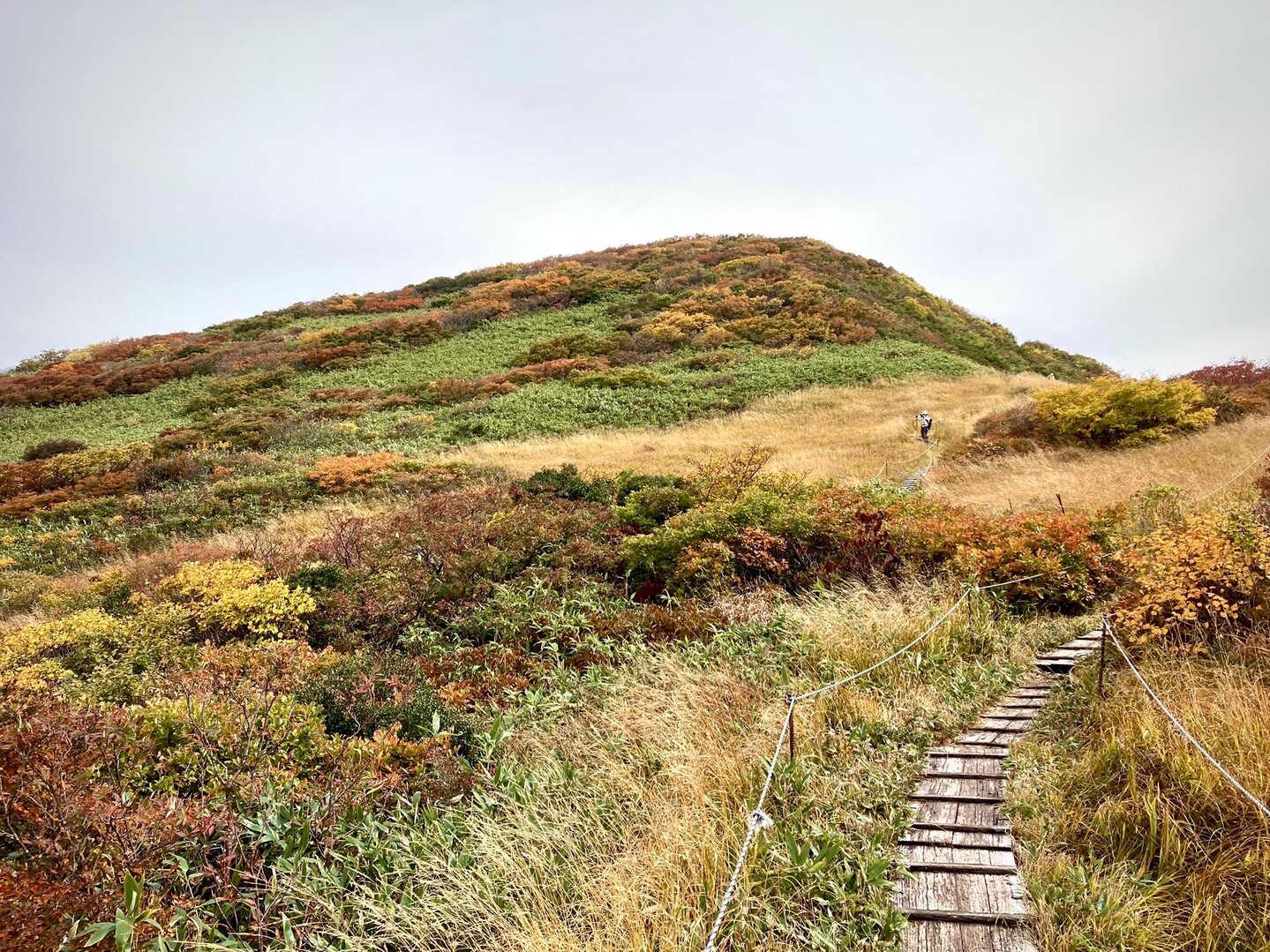浅草岳 / aji_sanさんの浅草岳・鬼ヶ面山の活動データ | YAMAP / ヤマップ