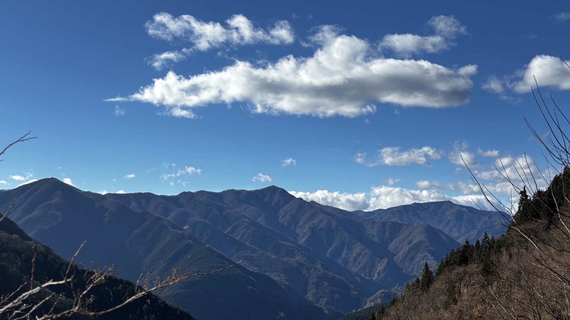 急登を登りに本仁田山へ / ken-sukeさんの川苔山（川乗山）の活動データ | YAMAP / ヤマップ