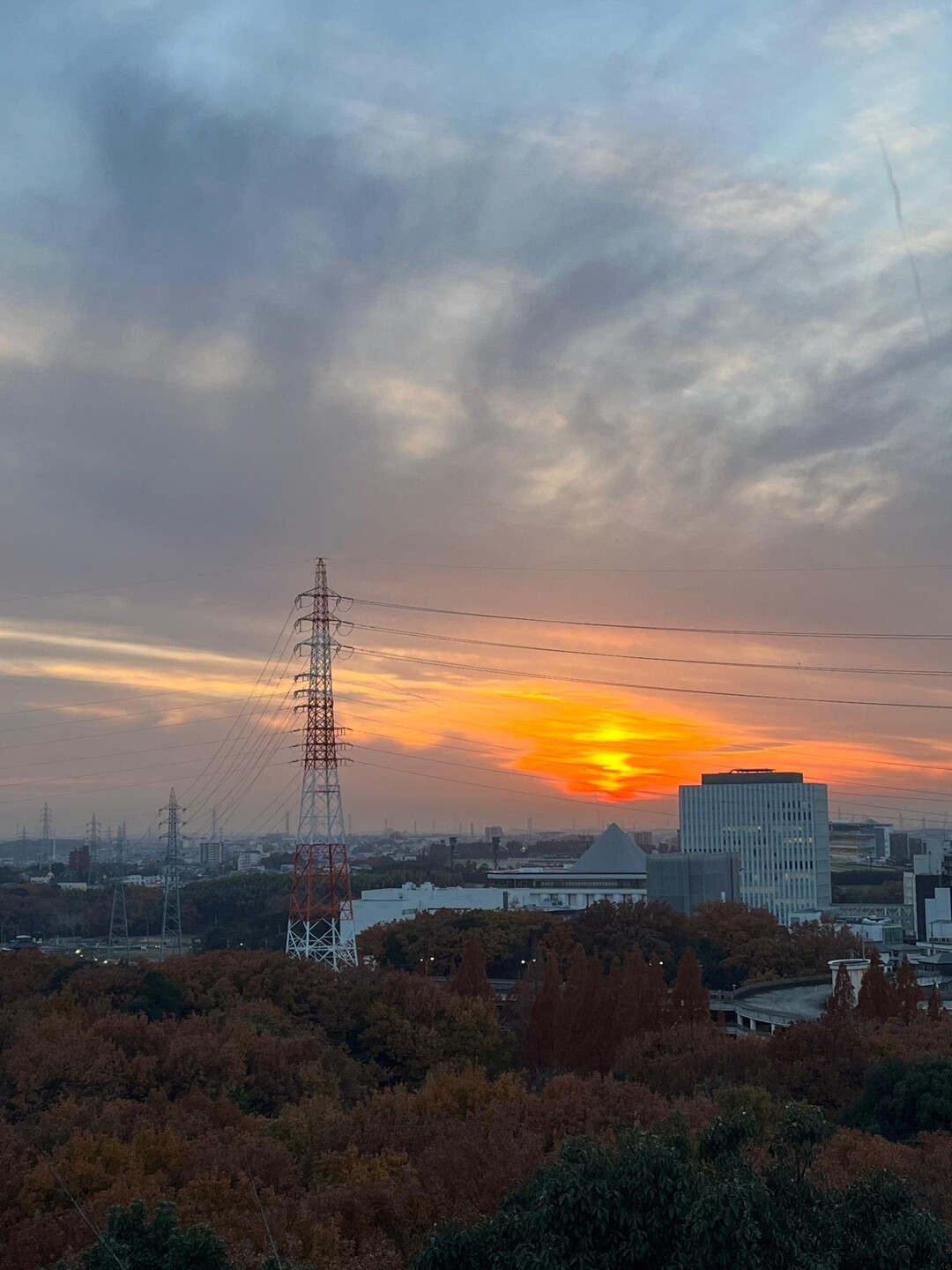 (ちょっとお散歩🚶🏻＆超ゆるゆるランニング🏃‍♂️)二村山 / KSさんの知多半島（任坊山・本宮山・鍋山）の活動データ | YAMAP / ヤマップ