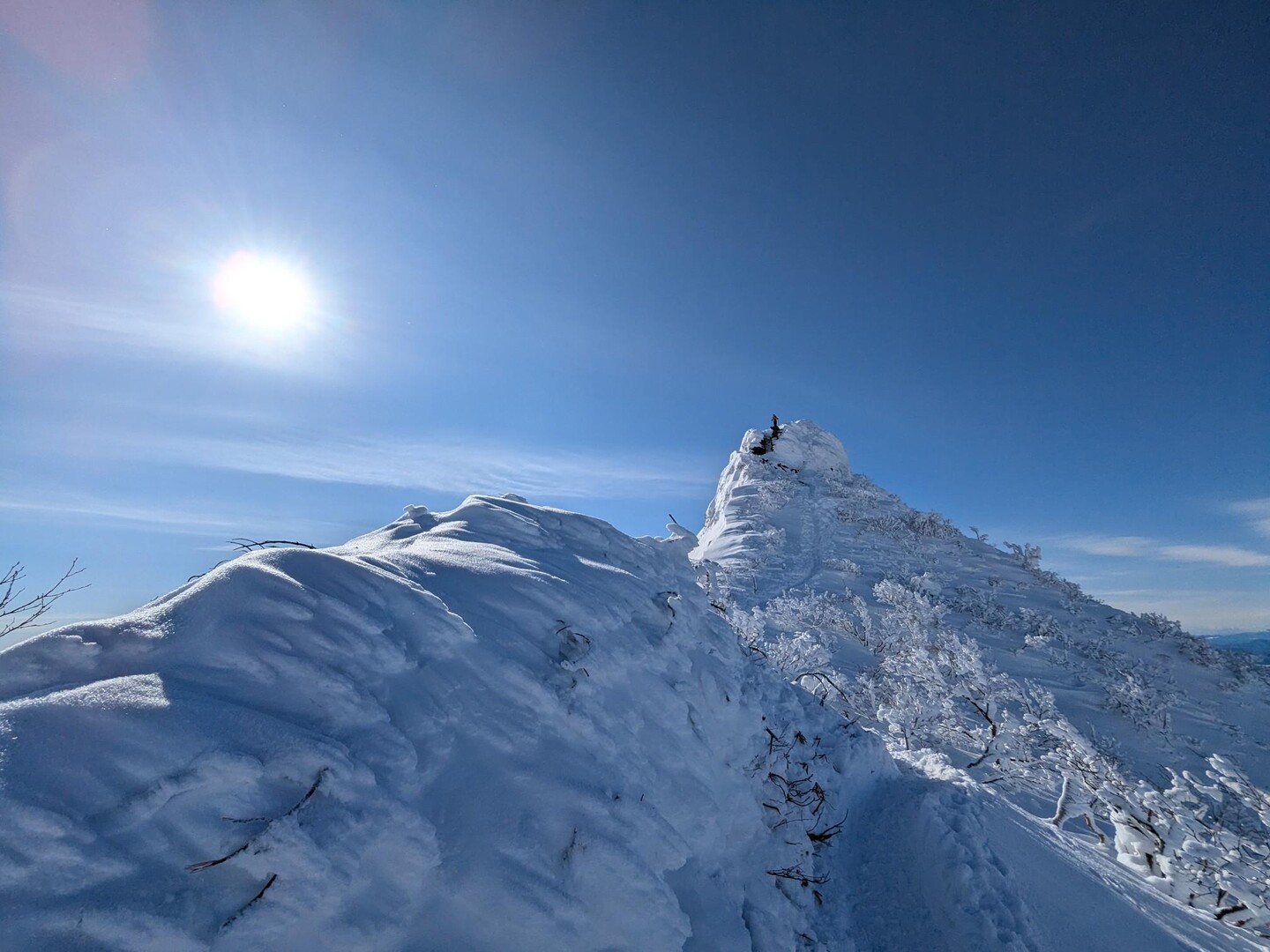 剣ヶ峰山・武尊山 / inuさんの武尊山・鹿俣山・尼ヶ禿山の活動日記 | YAMAP / ヤマップ