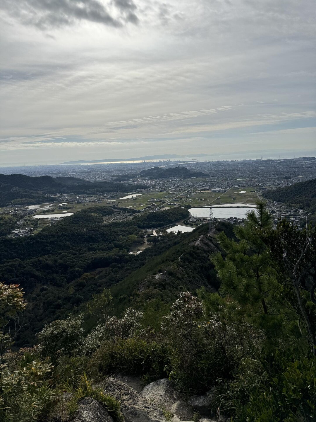 別所奥山・鷹ノ巣山 / r.kさんの高御位山・播磨アルプスの活動日記 | YAMAP / ヤマップ
