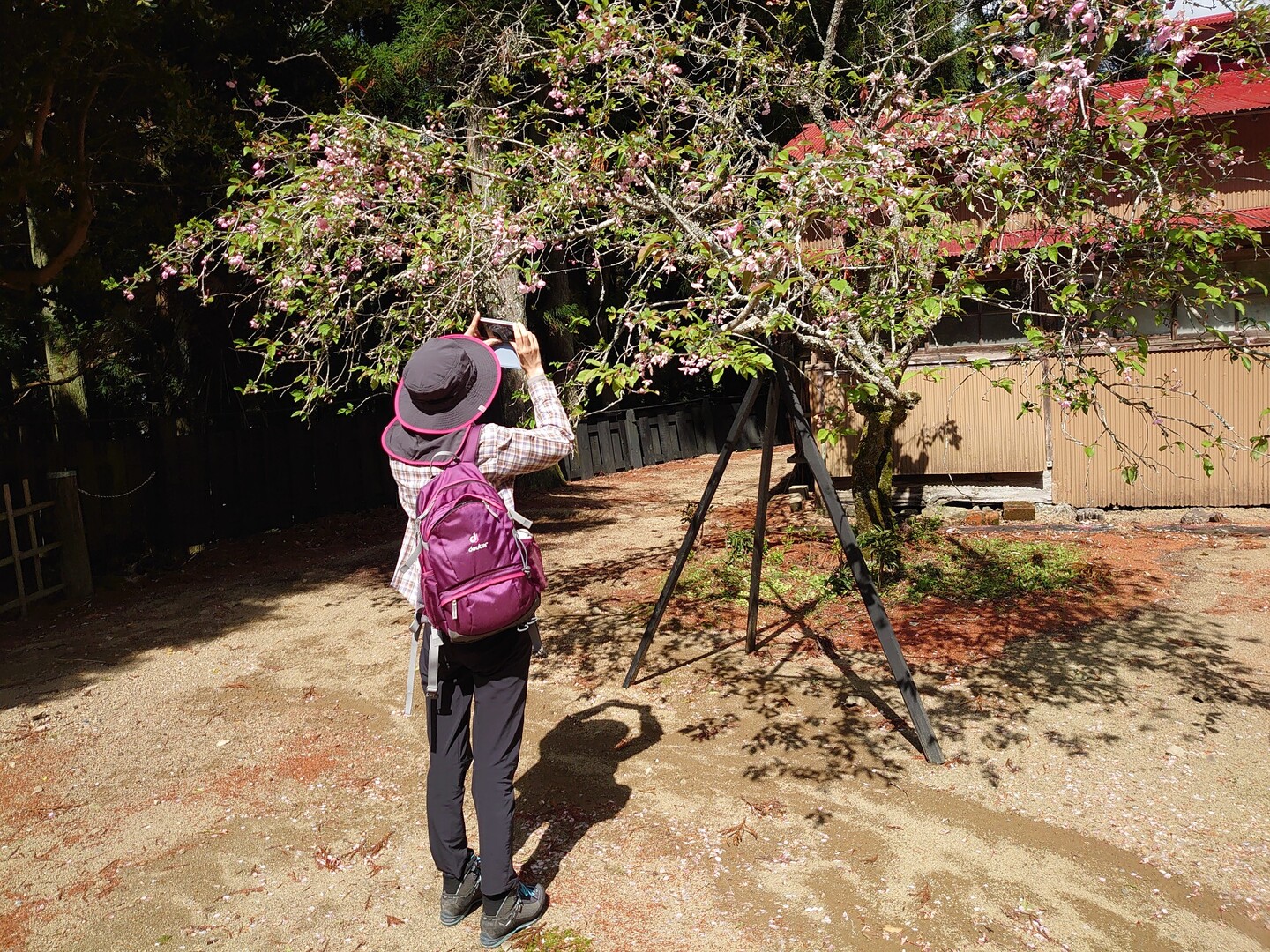愛妻と大尾山散歩 / kontomoさんの八高山・神尾山・大尾山の活動データ | YAMAP / ヤマップ