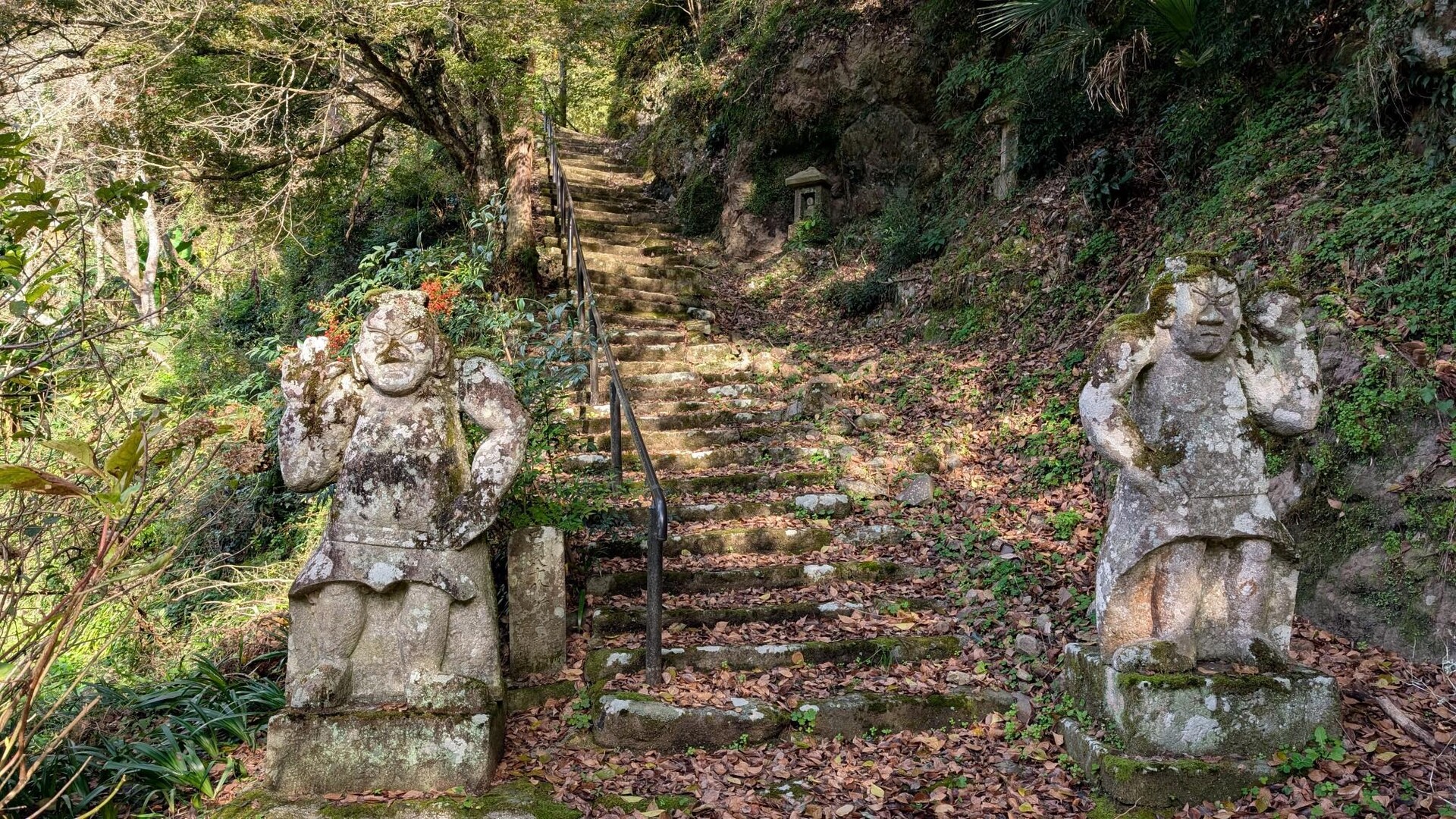 リベンジ 麻生高野堂 11-25 / tonnoさんの鹿嵐山の活動データ | YAMAP / ヤマップ