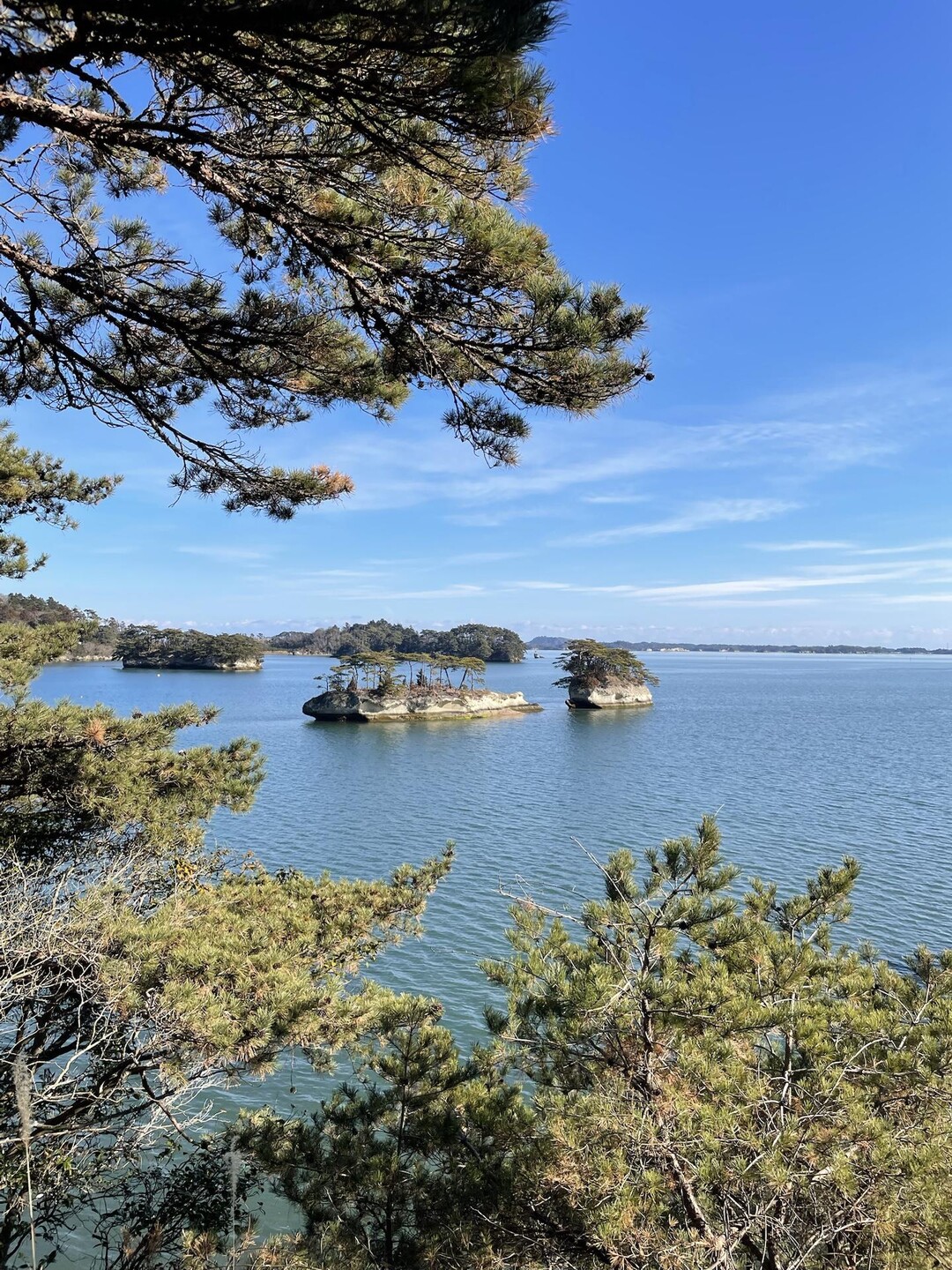 MCT番外編 塩竈〜松島 冬期陸路勝手に歩くの巻 / ぴっかちゅんさんの鷲尾山・扇谷山・新富山の活動データ | YAMAP / ヤマップ
