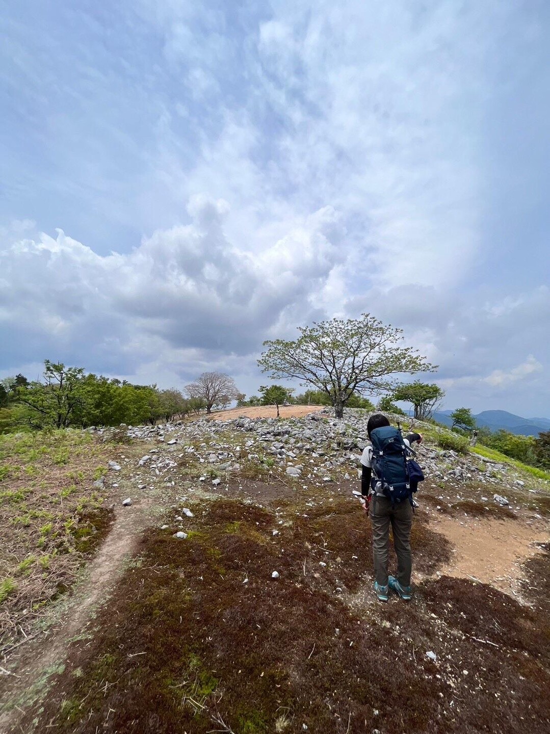 5.13☆天狗堂から御池岳へ☆鈴鹿10座を線で繋ごう☆ / ゆかさんの天狗堂の活動データ | YAMAP / ヤマップ