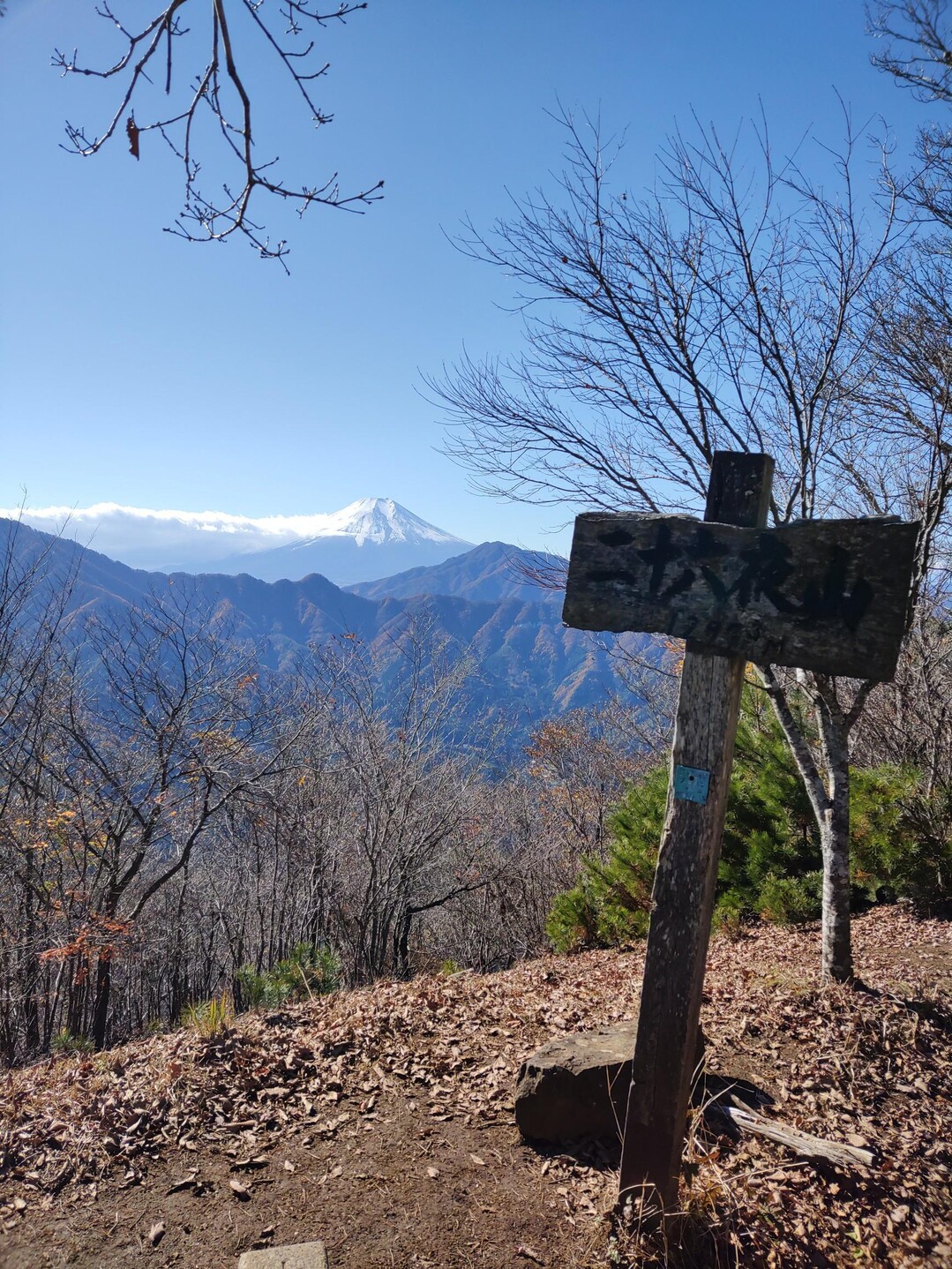今倉山・松山(赤岩)・二十六夜山 / yosさんの御正体山・杓子山・石割山の活動データ | YAMAP / ヤマップ