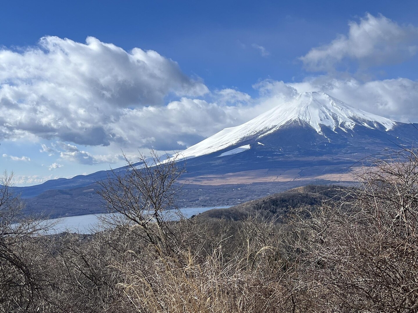 石割山-2024-01-24 / Ma-buさんの御正体山・杓子山・石割山の活動データ | YAMAP / ヤマップ