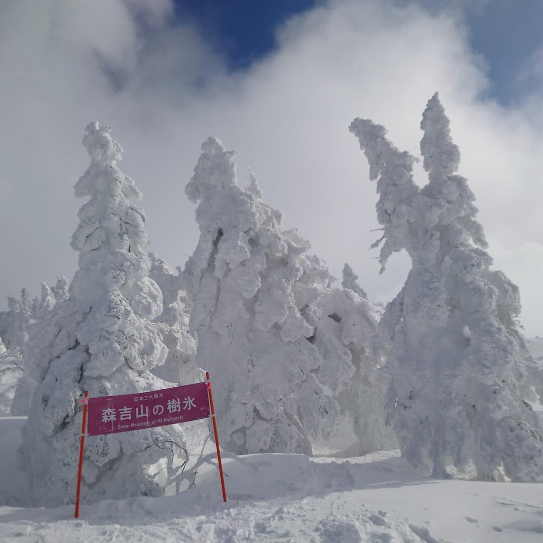 ついに冬の森吉山へ / mickeyさんの森吉山の活動データ | YAMAP / ヤマップ