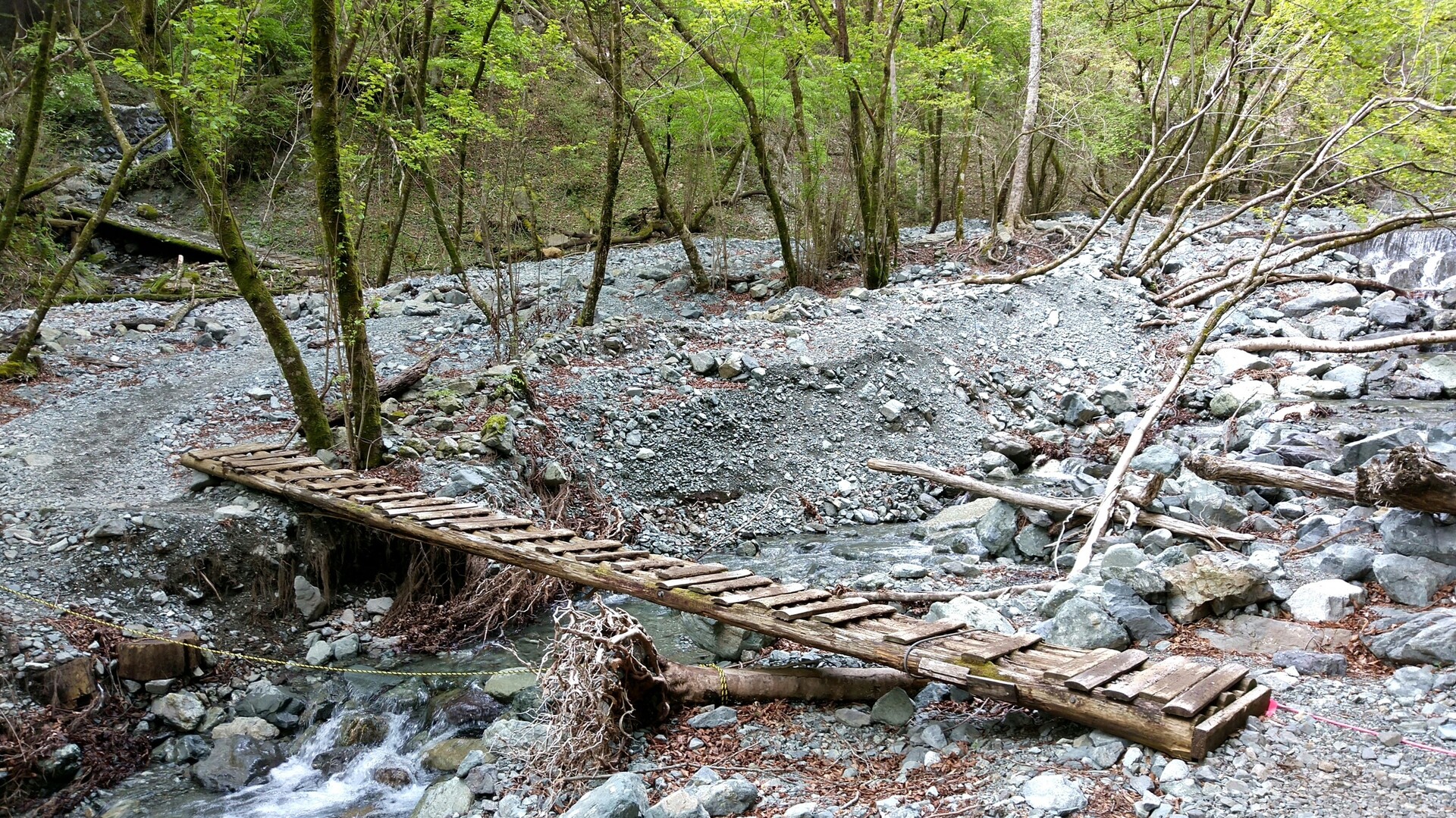 3104さんの投稿したフィールドメモ | YAMAP / ヤマップ