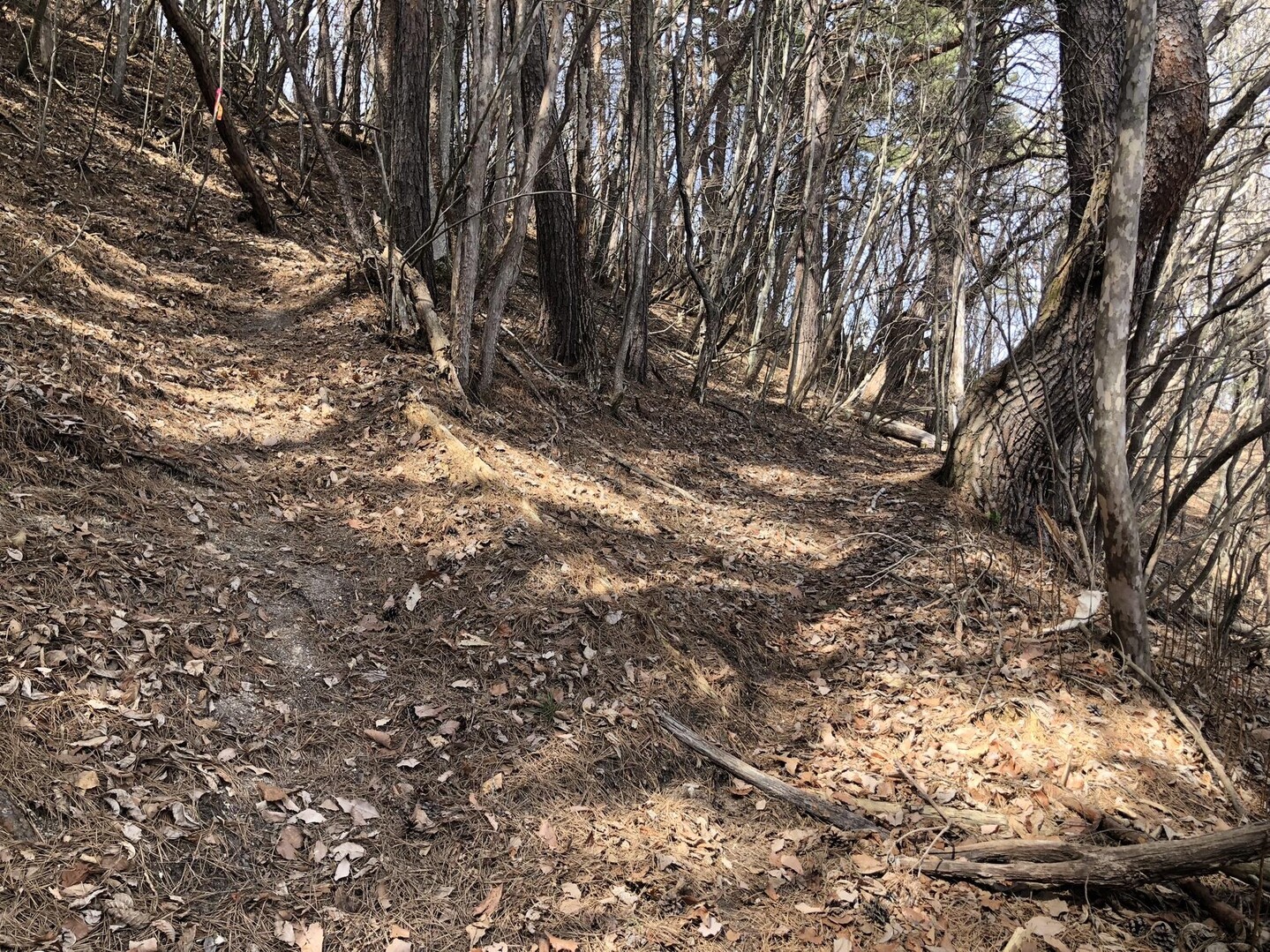 SamuSamuさんの投稿したフィールドメモ | YAMAP / ヤマップ