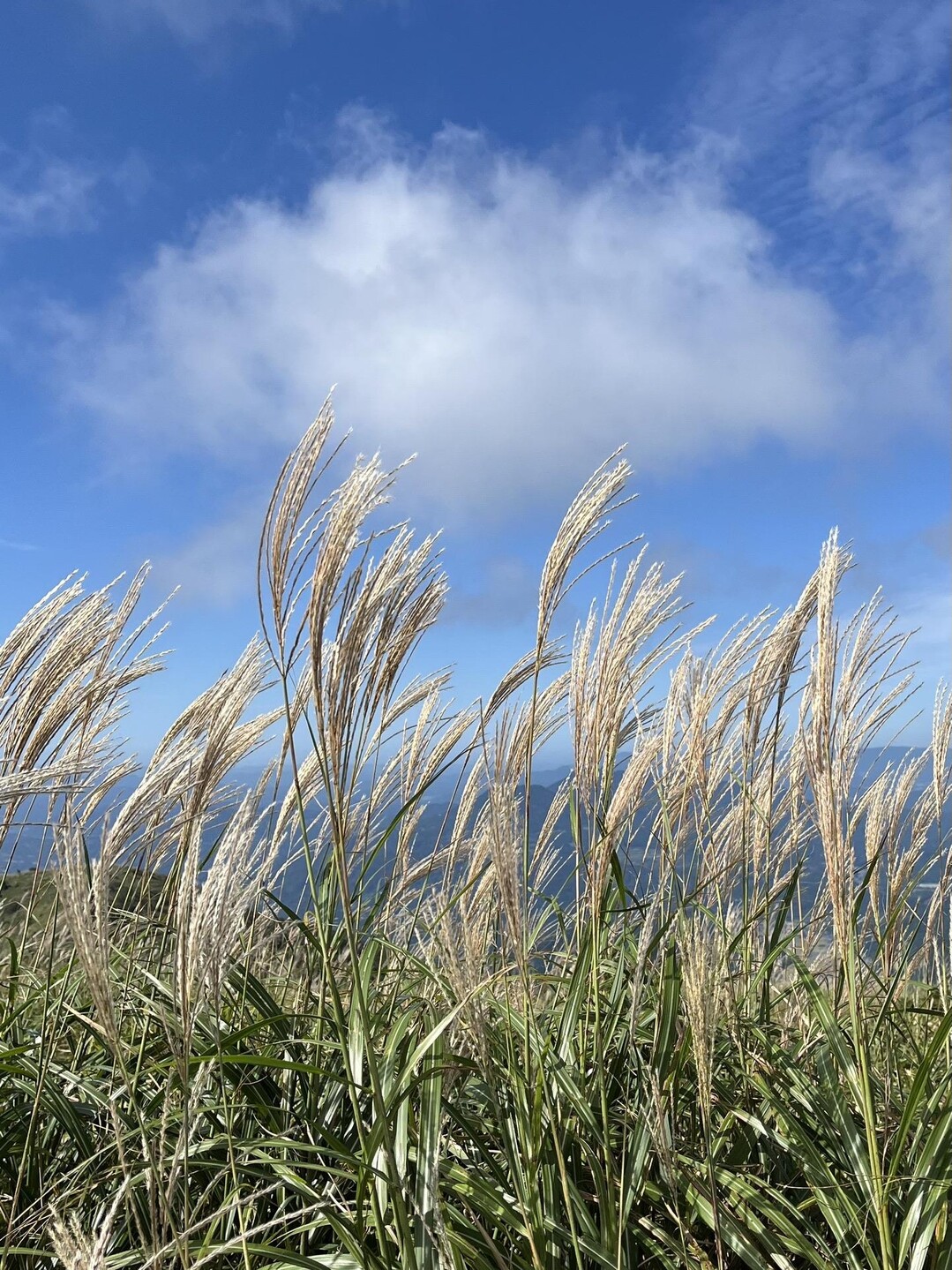 天山・東ノ峰 / oniさんの天山の活動データ | YAMAP / ヤマップ