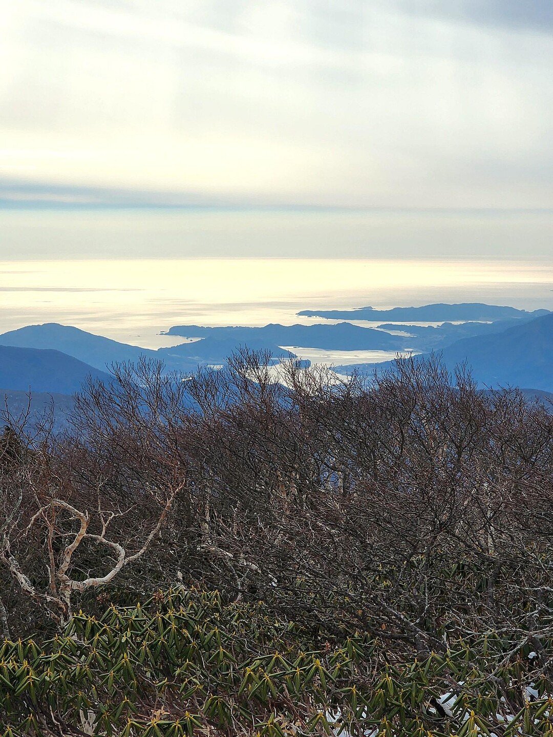 登り納めは五葉山 / jmamaさんの五葉山・愛染山の活動データ | YAMAP / ヤマップ