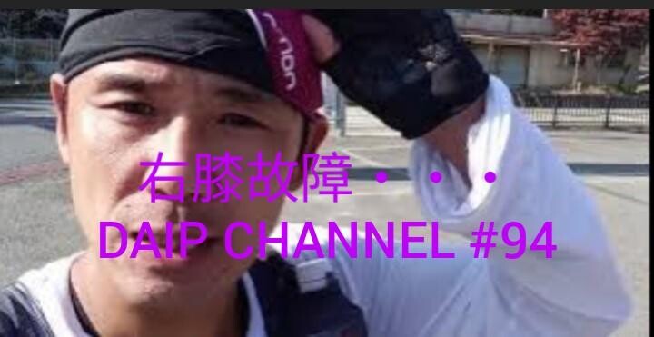 2022.11.10 箕面の山中で決定的... / 大P (大P CHANNEL)さんのモーメント | YAMAP / ヤマップ