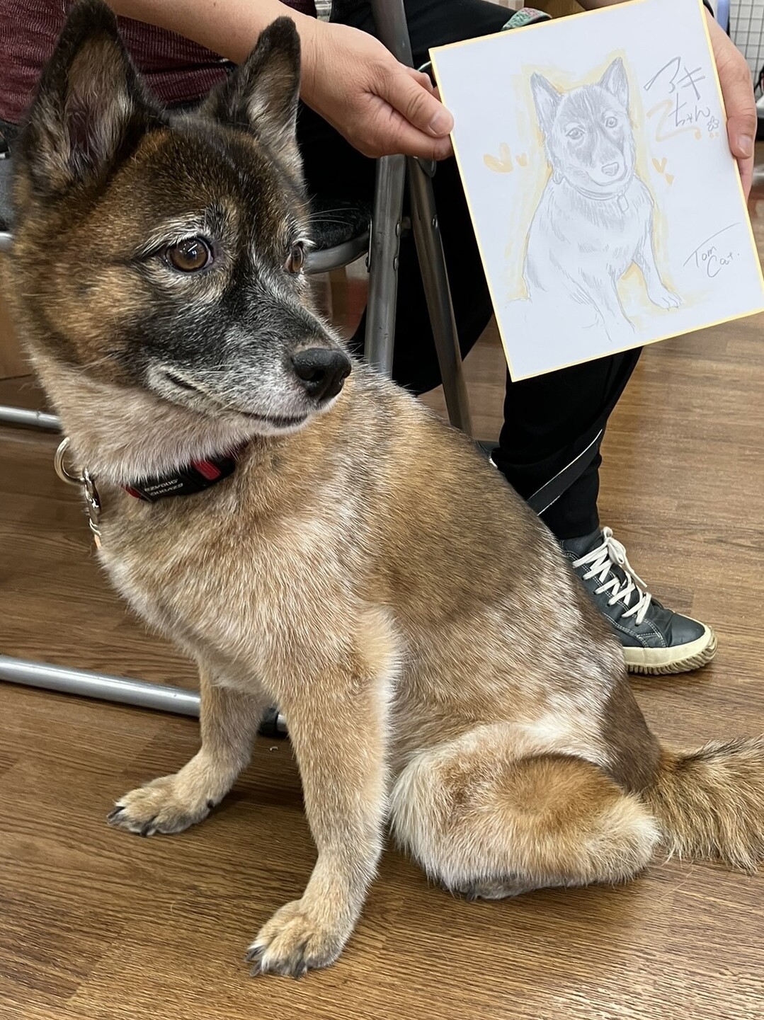 今週はお山はお休み。 よくお世話になって... / kieさんのモーメント | YAMAP / ヤマップ