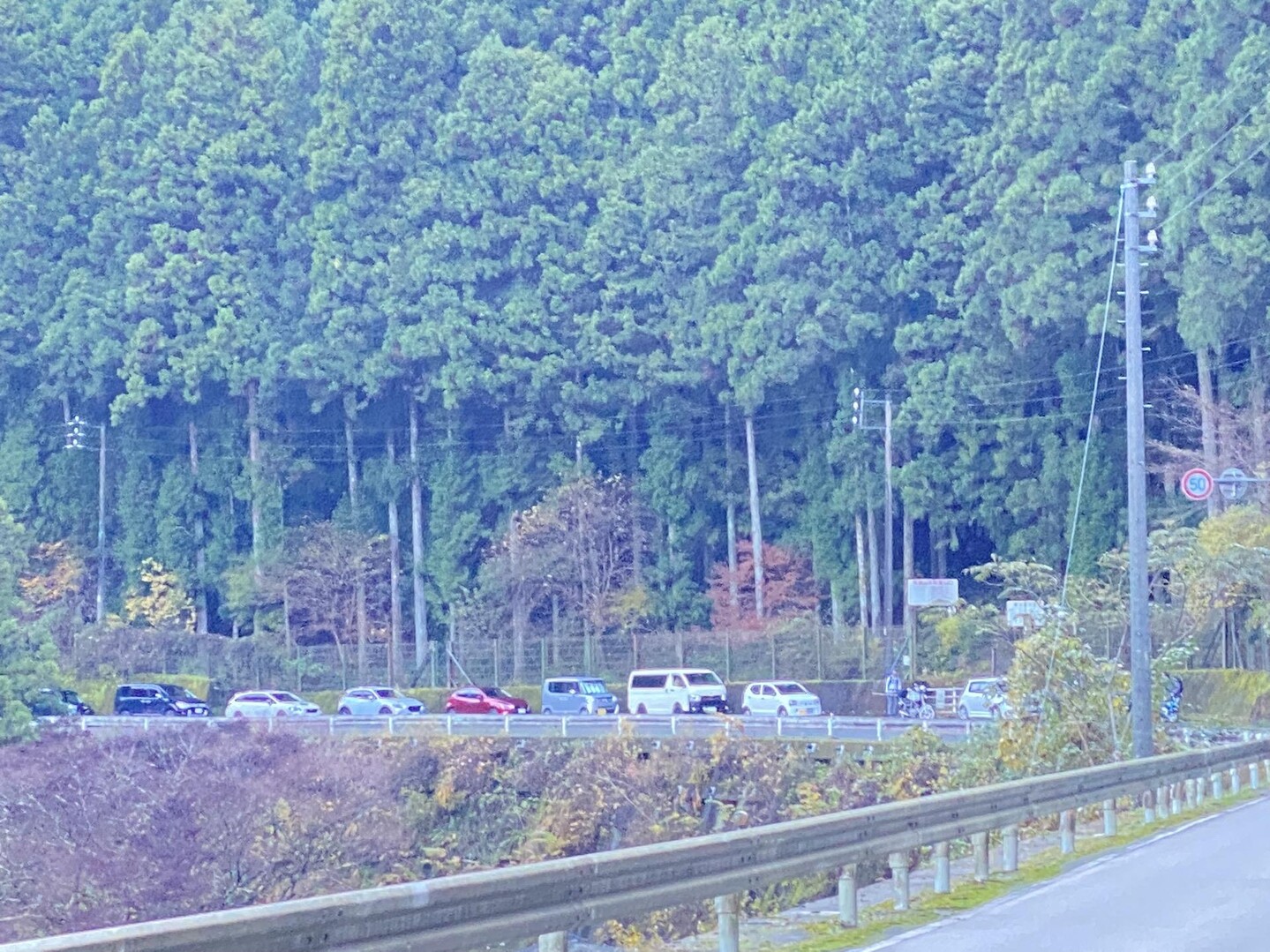 竜頭山 / つねやんさんの竜頭山・入地山の活動データ | YAMAP / ヤマップ