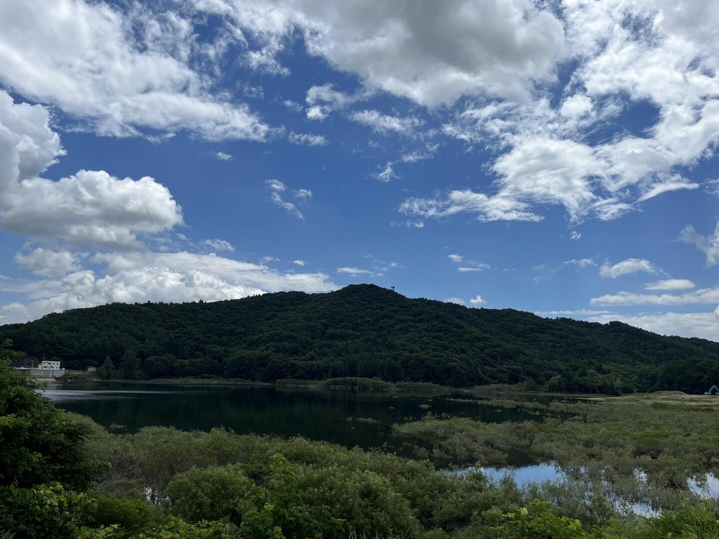 城内山 / sue sannさんの南昌山・東根山・箱ヶ森の活動データ | YAMAP / ヤマップ