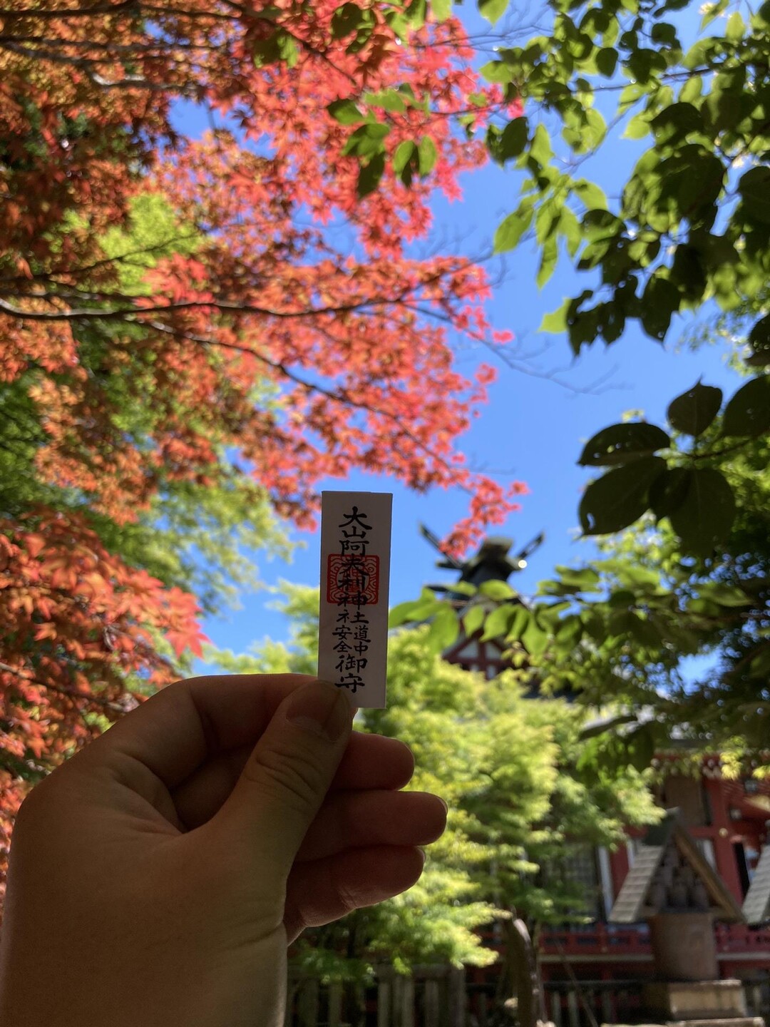 大山 / k.yutaさんの大山の活動データ | YAMAP / ヤマップ