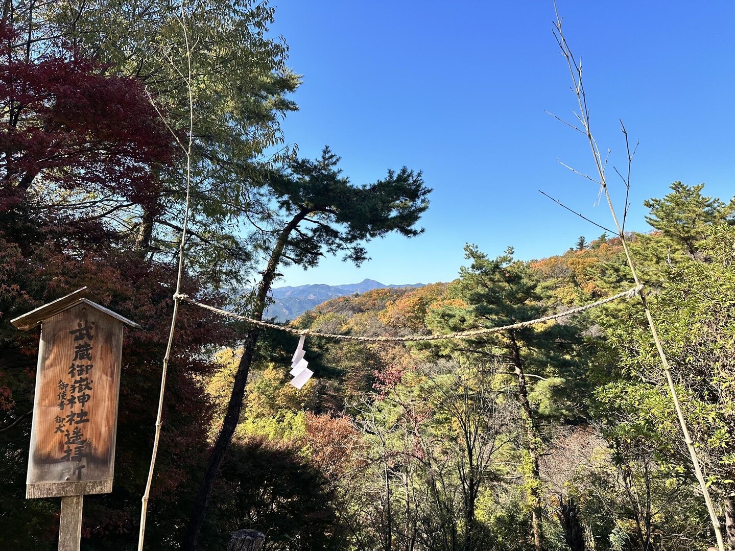 青梅丘陵、雷電山へ / TOMさんの大岳山・御岳山・御前山の活動データ | YAMAP / ヤマップ