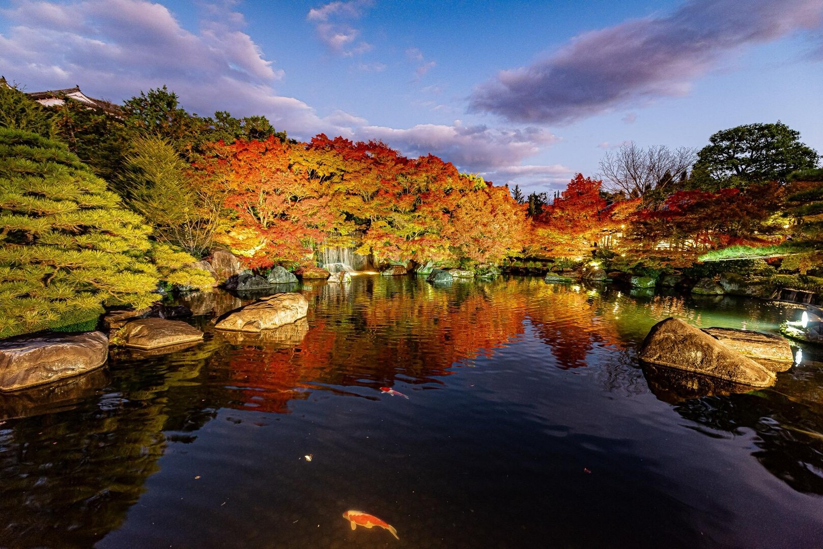 2024-11-30 紅葉散策🍁 姫路... / peaks senpaiさんのモーメント | YAMAP / ヤマップ