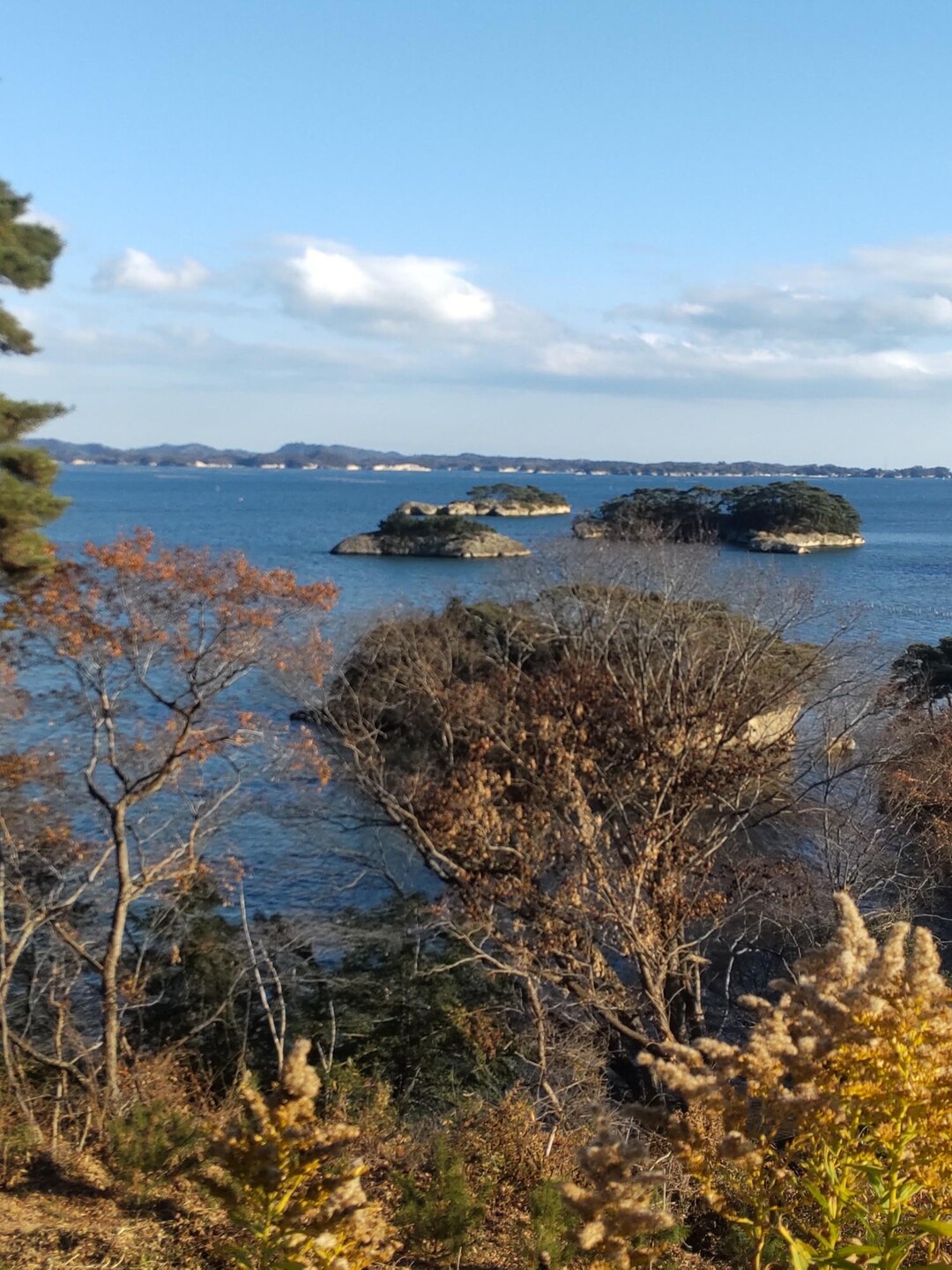 🚃電車でGo!松島 観光になっちゃった😓 / ジャックさんの松島の活動データ | YAMAP / ヤマップ