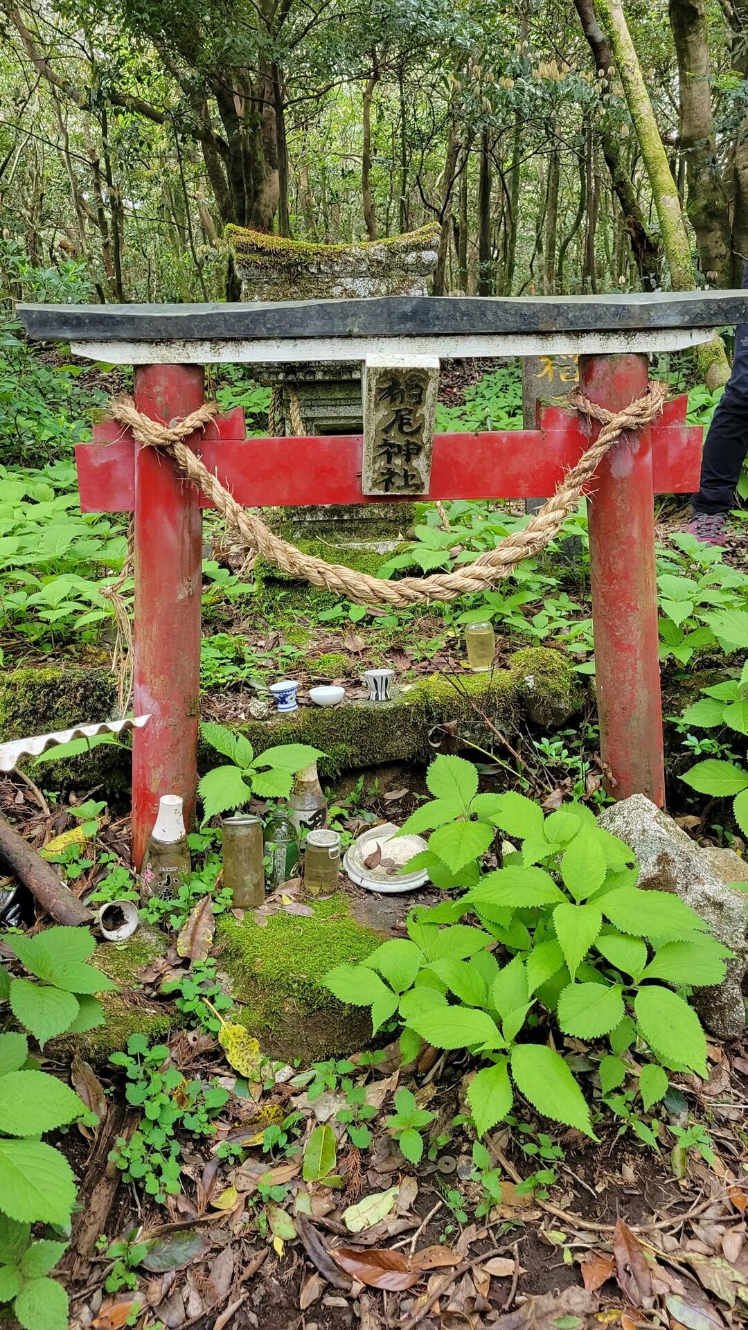 枯木岳・稲尾岳 / Kyonkyonさんの稲尾岳・枯木岳の活動データ | YAMAP / ヤマップ