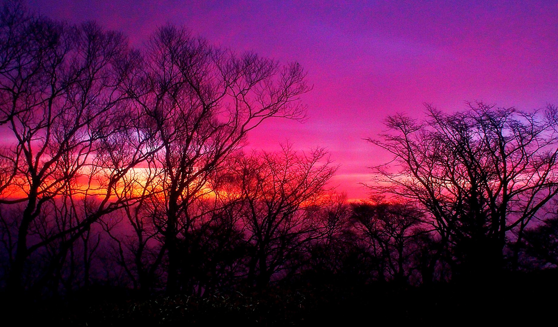 朝活＠霧降高原（小丸山・大山）紫に燃えろ / kazuさんの女峰山・赤薙山・大真名子山の活動データ | YAMAP / ヤマップ