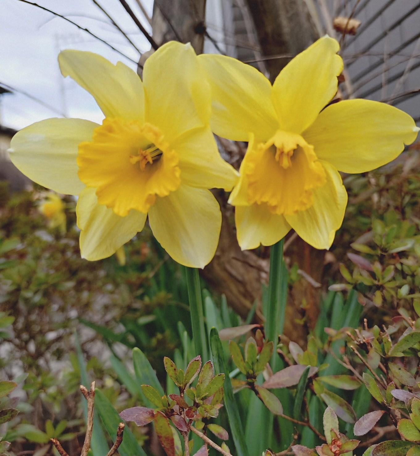 2025.03.17(月) 23:10 / ゆうなかさんのモーメント | YAMAP / ヤマップ