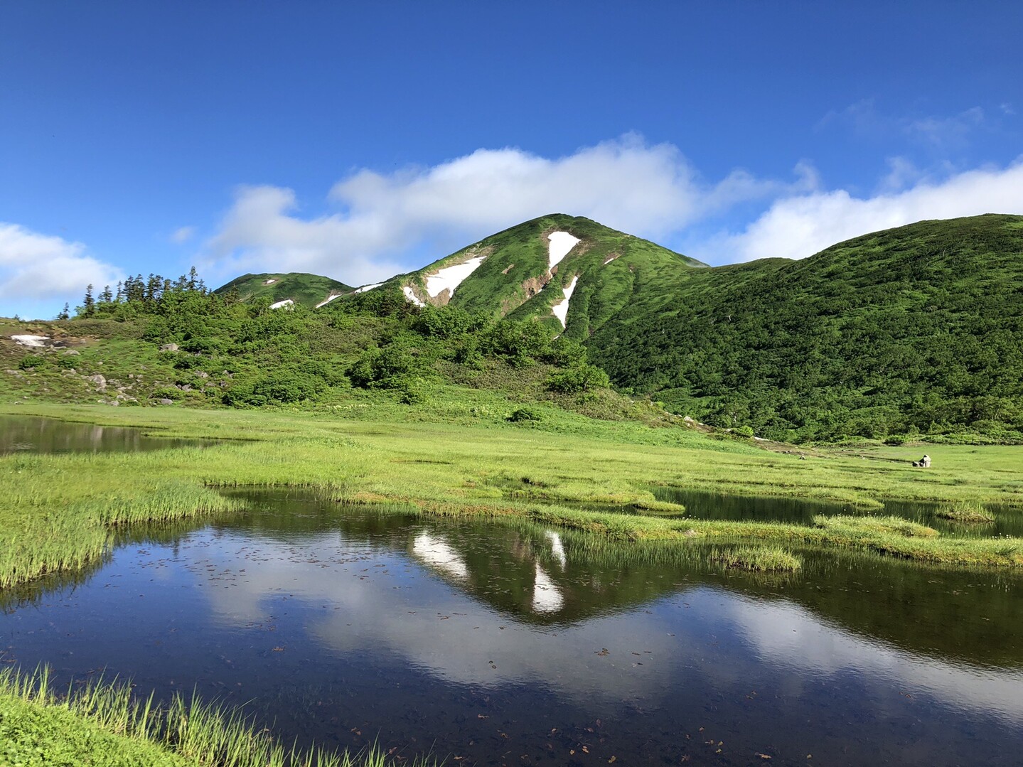 妙高山・火打山-2019-07-27 / Zero Zero UFOさんの妙高山・火打山の活動データ | YAMAP / ヤマップ