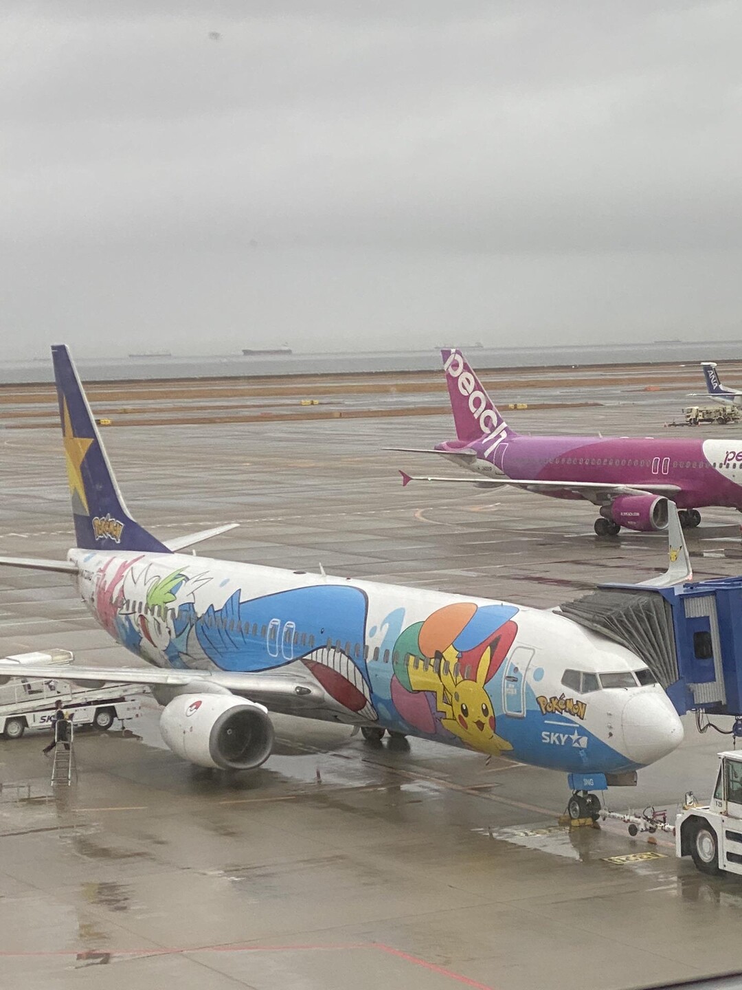 夏以来の帰省 雪あらへんやん ポケモン... / BIBIさんのモーメント | YAMAP / ヤマップ