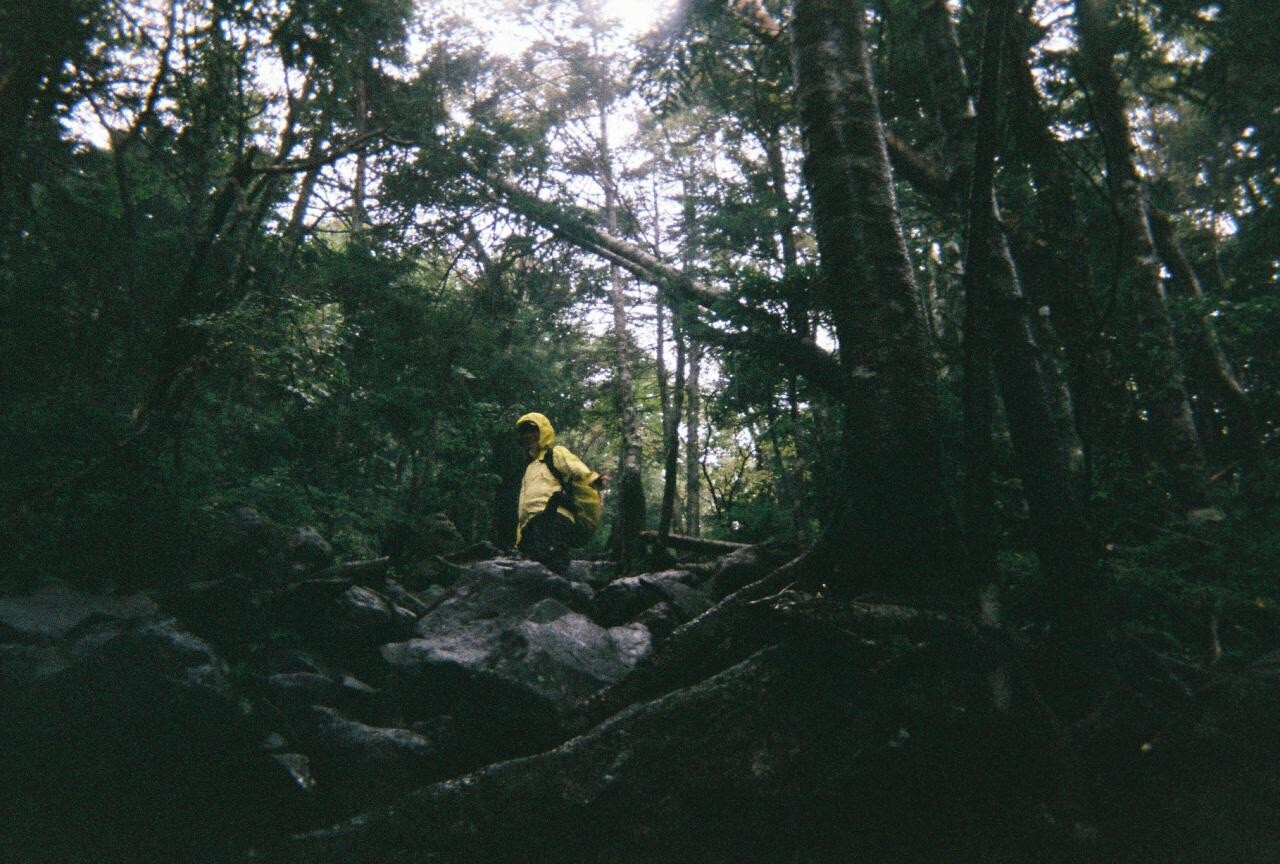 chikaのページ | YAMAP / ヤマップ