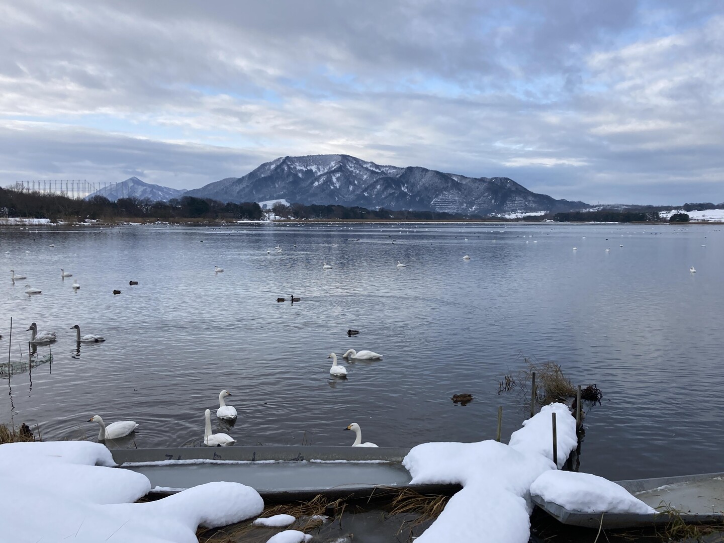 角田山（稲島コース） / hi-chanさんの角田山の活動データ | YAMAP / ヤマップ