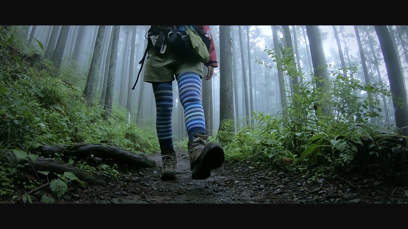 レインハイク…というか雨天時練習てことで…少し歩いてもう帰る！ / usawoさんの塔ノ岳・丹沢山・蛭ヶ岳の活動データ | YAMAP / ヤマップ