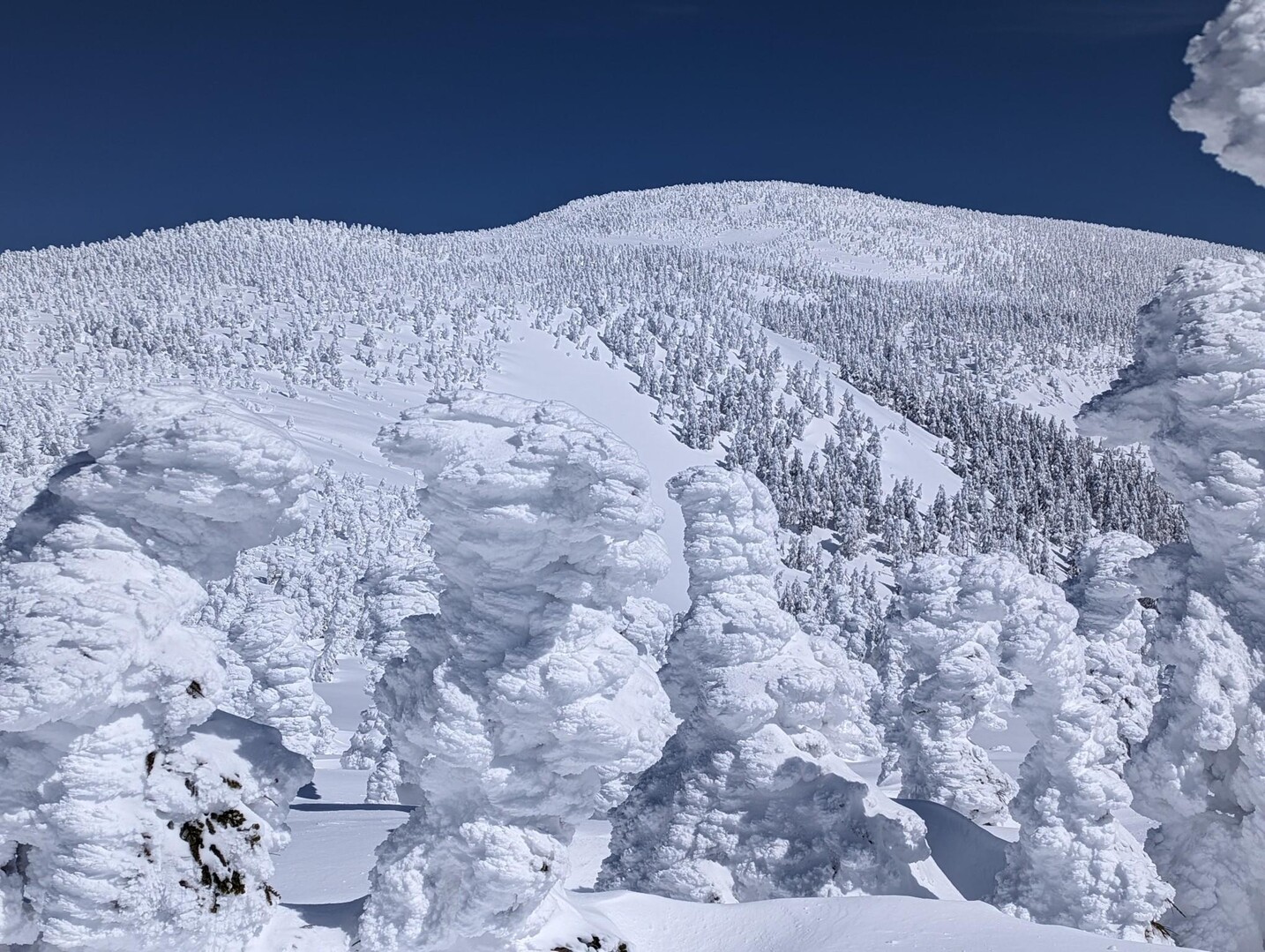 西大巓 / hana356さんの吾妻山・一切経山の活動データ | YAMAP / ヤマップ