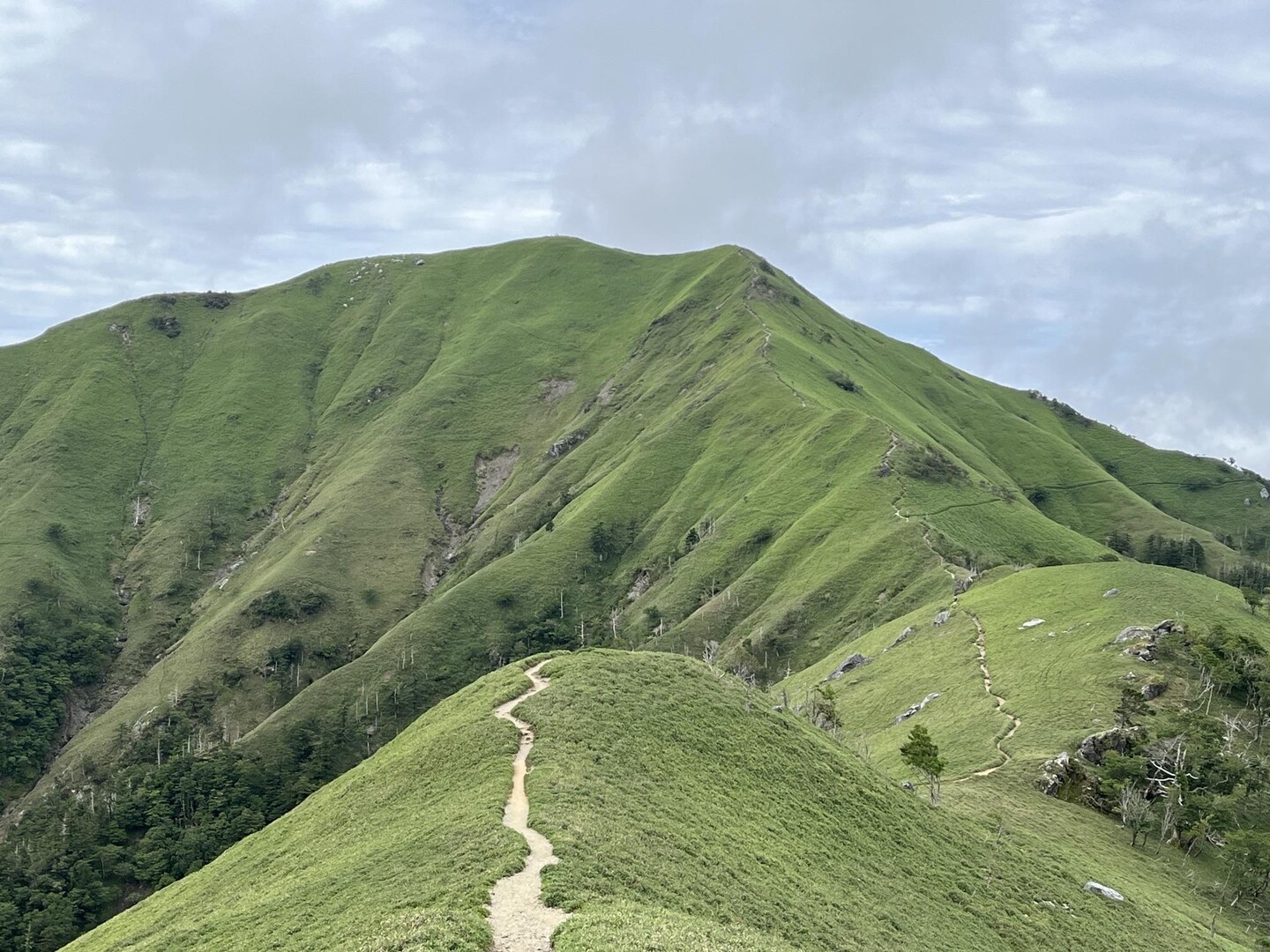 本日の次郎笈…綺麗な緑の笹原で、相変わら... / mao🐈‍⬛さんのモーメント | YAMAP / ヤマップ