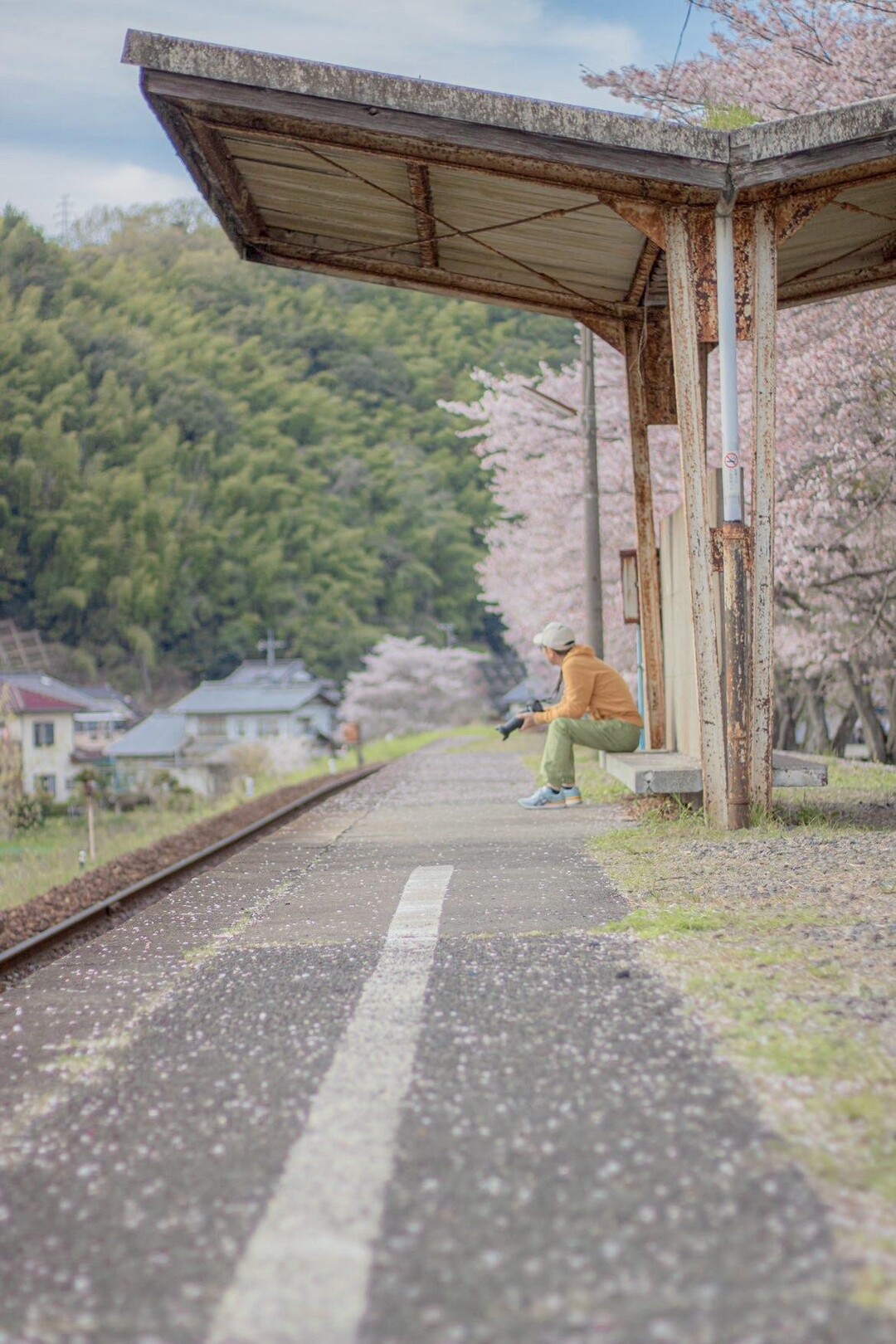 清流新岩国駅の桜 トップは知らん女の人が... / GONKEさんのモーメント | YAMAP / ヤマップ